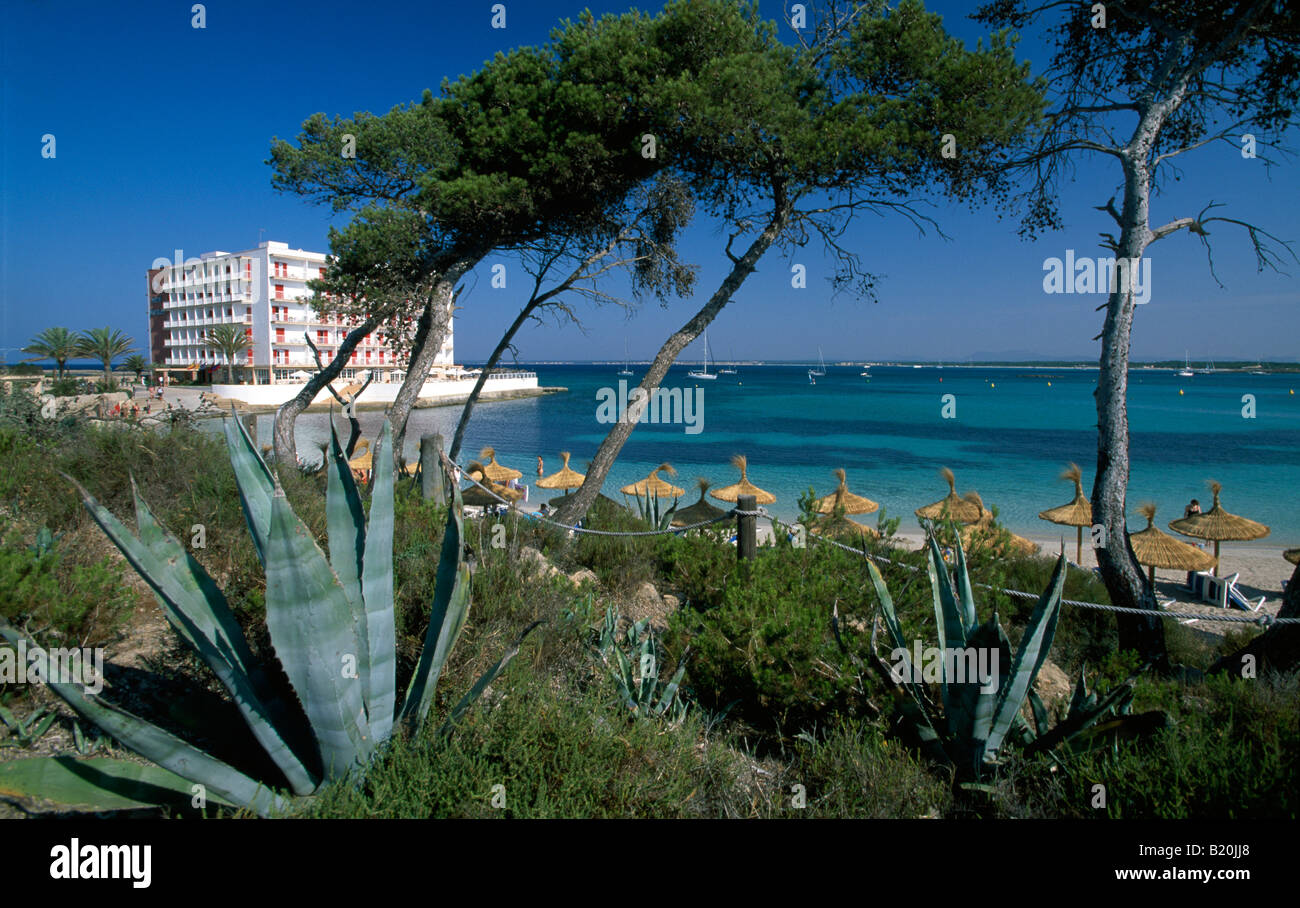 Es Trenc Mallorca Balearic Islands Spain Stock Photo - Alamy