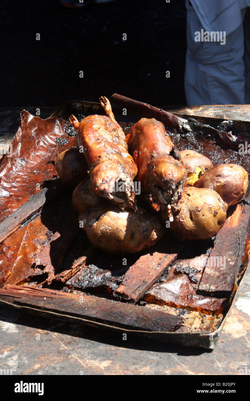 Cuy, or guinea pig, roasting on an open air grill with potatoes in ...