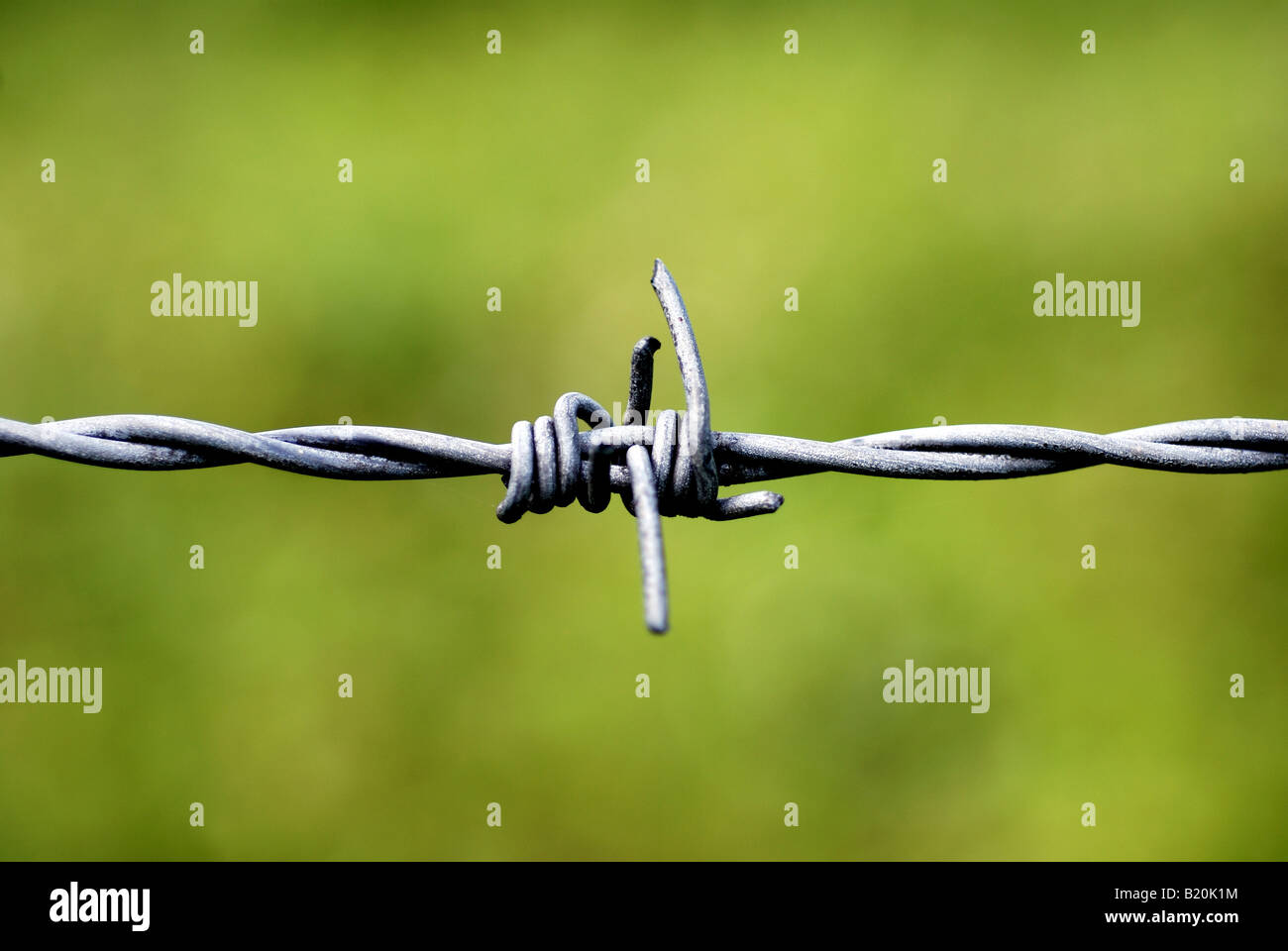 Strand barbed wire hi-res stock photography and images - Alamy