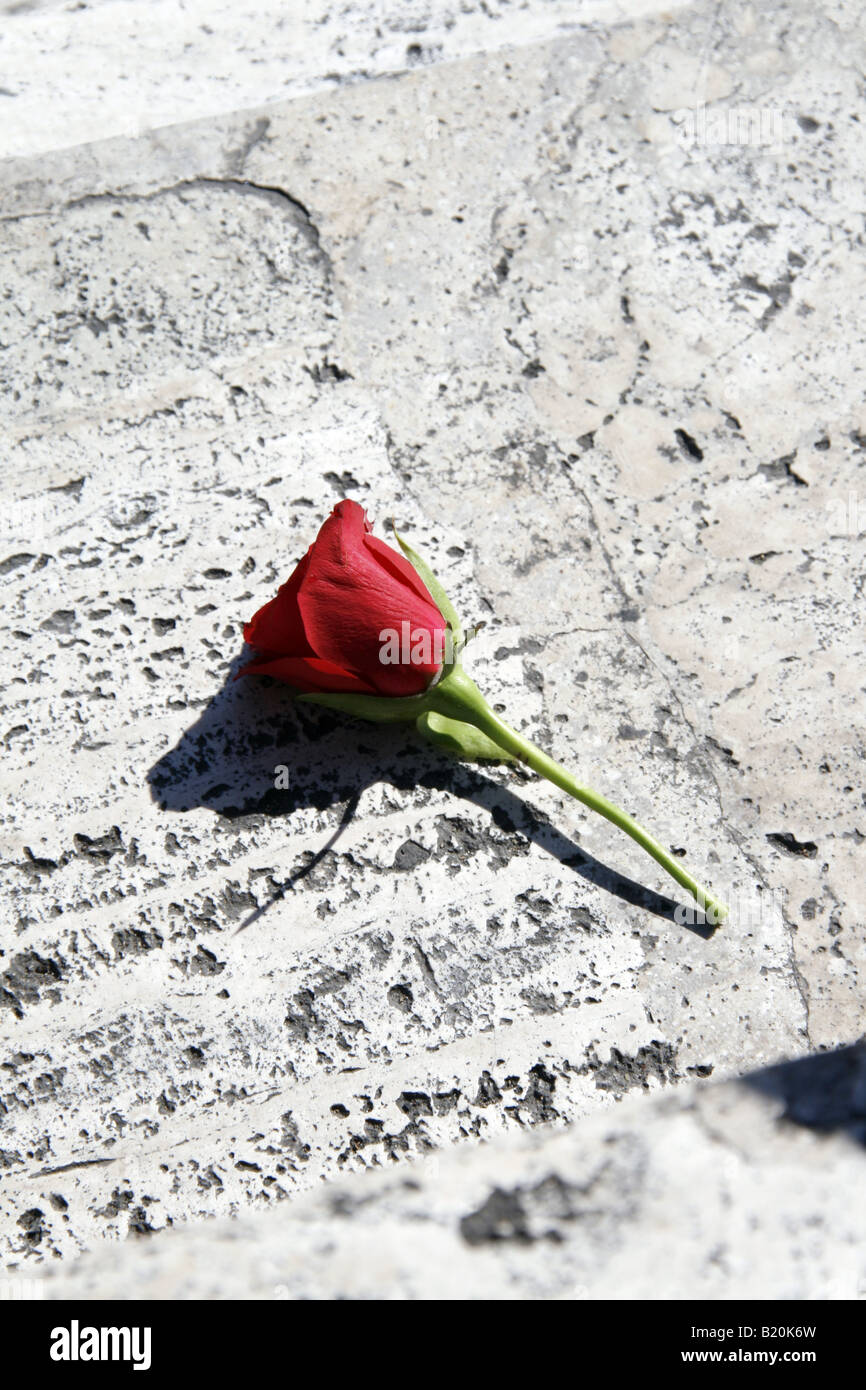one single red rose on floor in town Stock Photo - Alamy