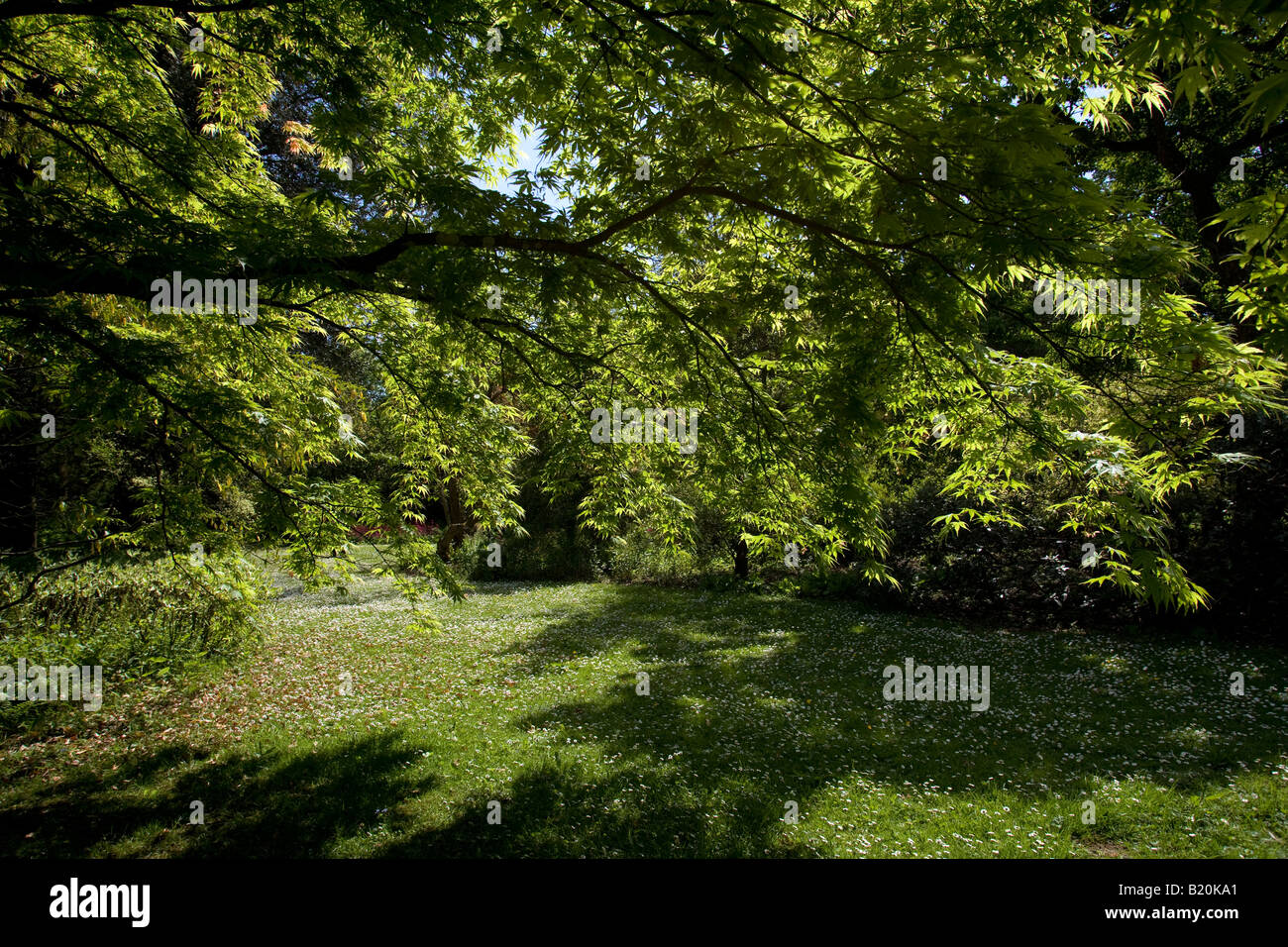 Dyffryn house and gardens hi-res stock photography and images - Alamy