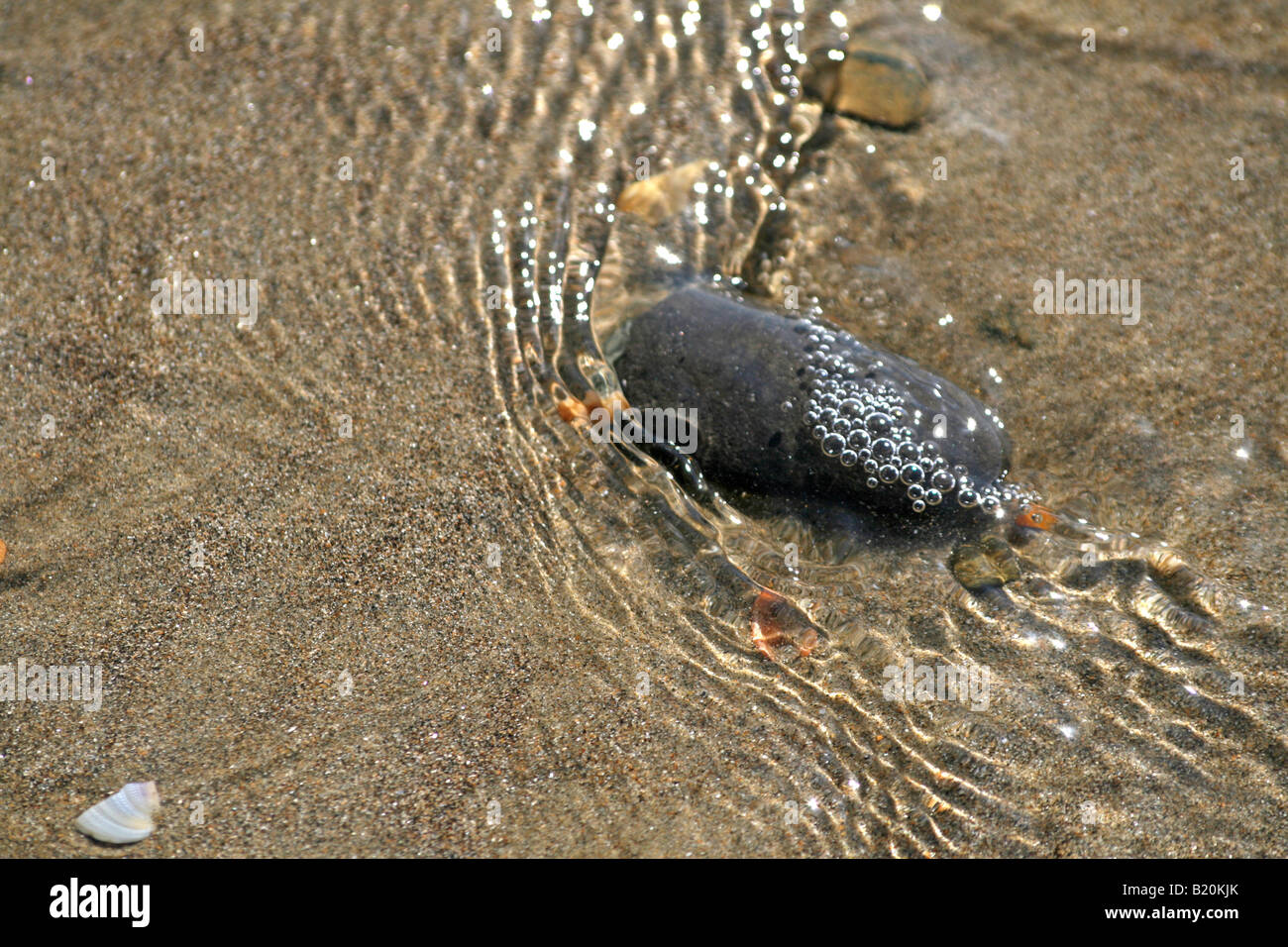 A pebble on Moeraki Beach, New Zealand Stock Photo - Alamy