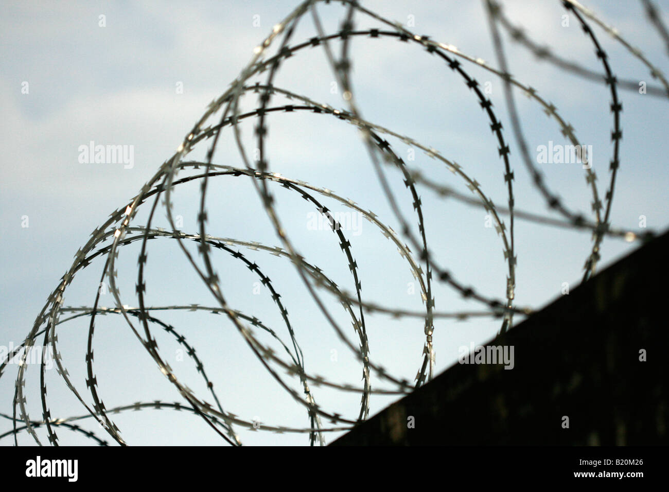 Razor wire on top of a perimeter wall Stock Photo - Alamy
