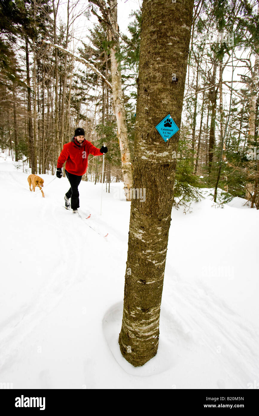 A man cross country skiing with his dog on the Catamount Trail in Stowe ...
