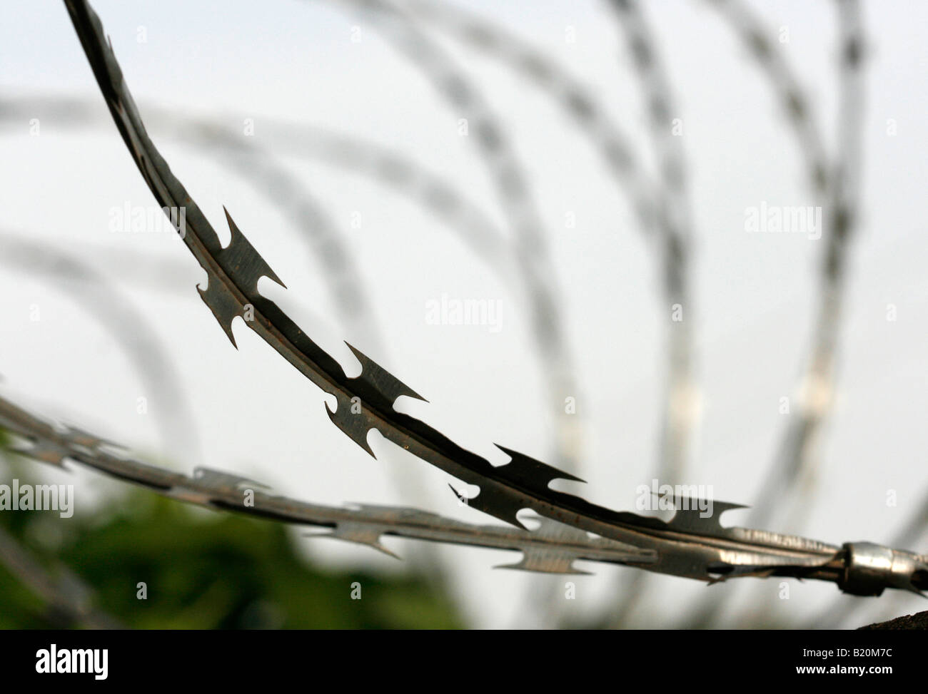 Razor wire on top of a perimeter wall Stock Photo - Alamy