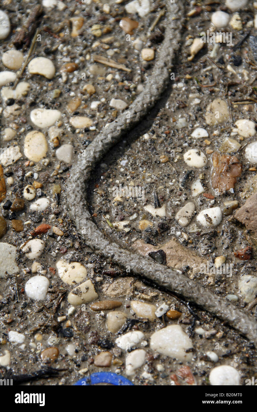 detail of dirty rope stuck in mud soil Stock Photo - Alamy