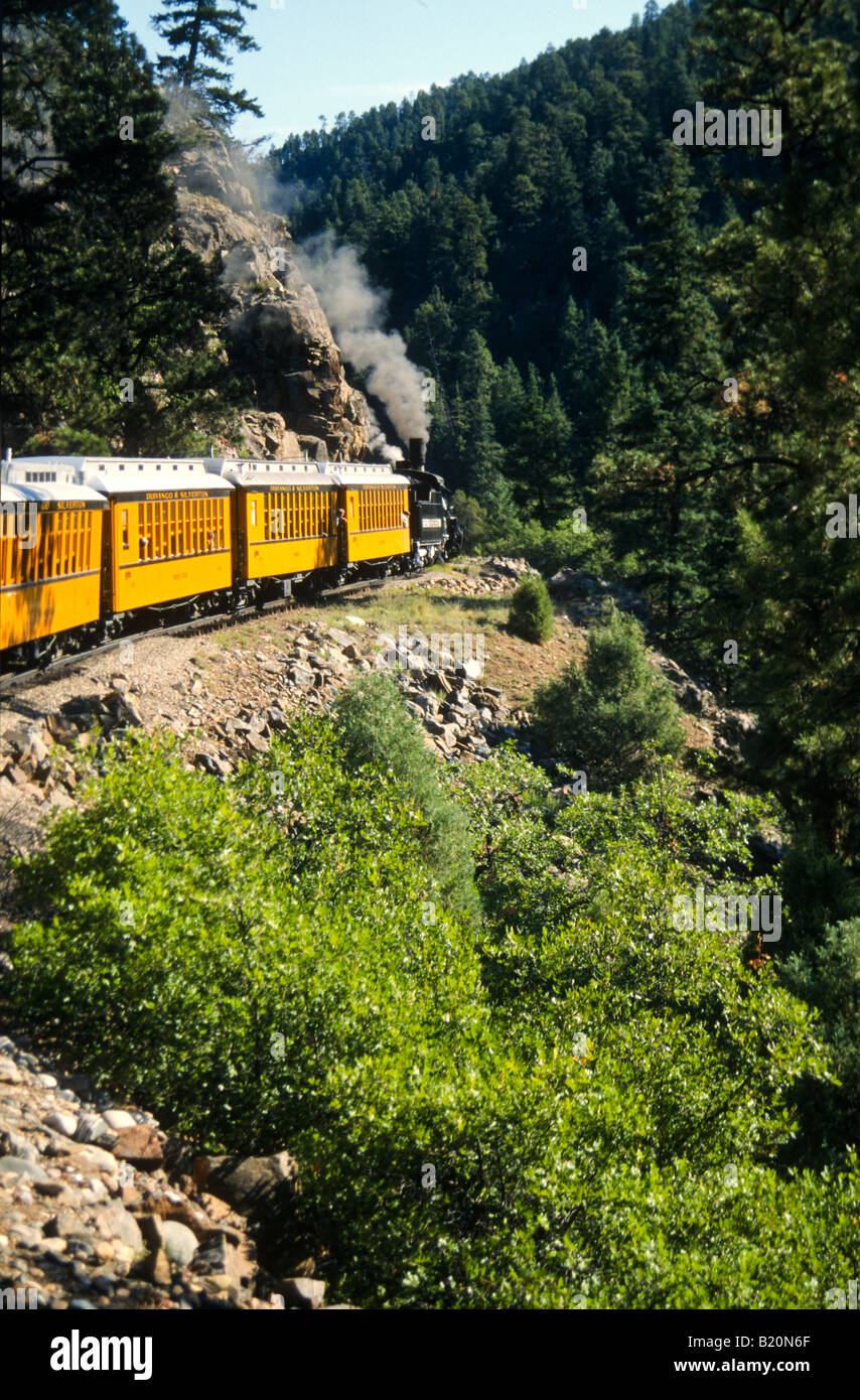 TRANSPORTATION Narrow gauge steam engine and train cars on track ...