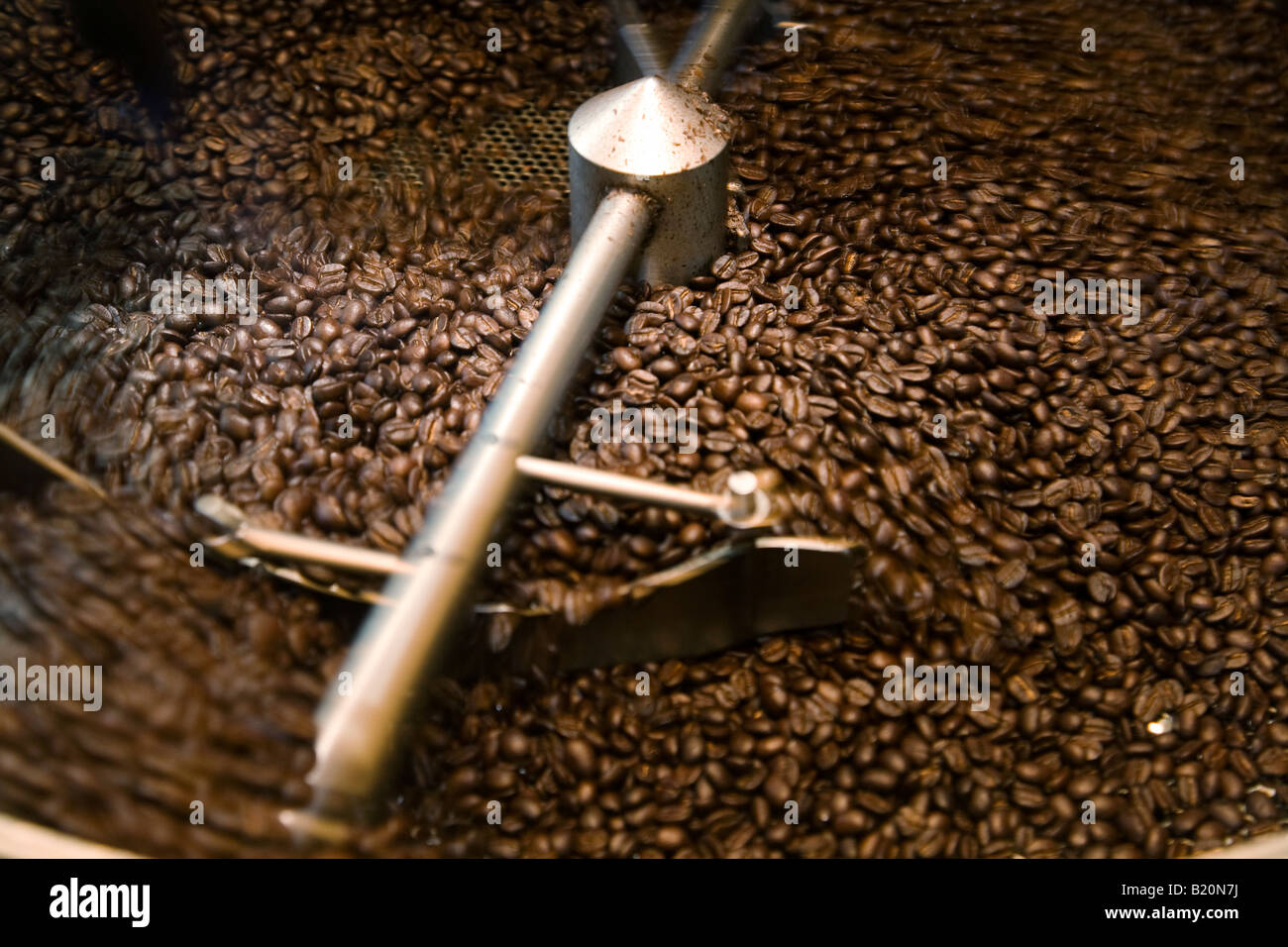Roasted coffee after process hi-res stock photography and images - Alamy