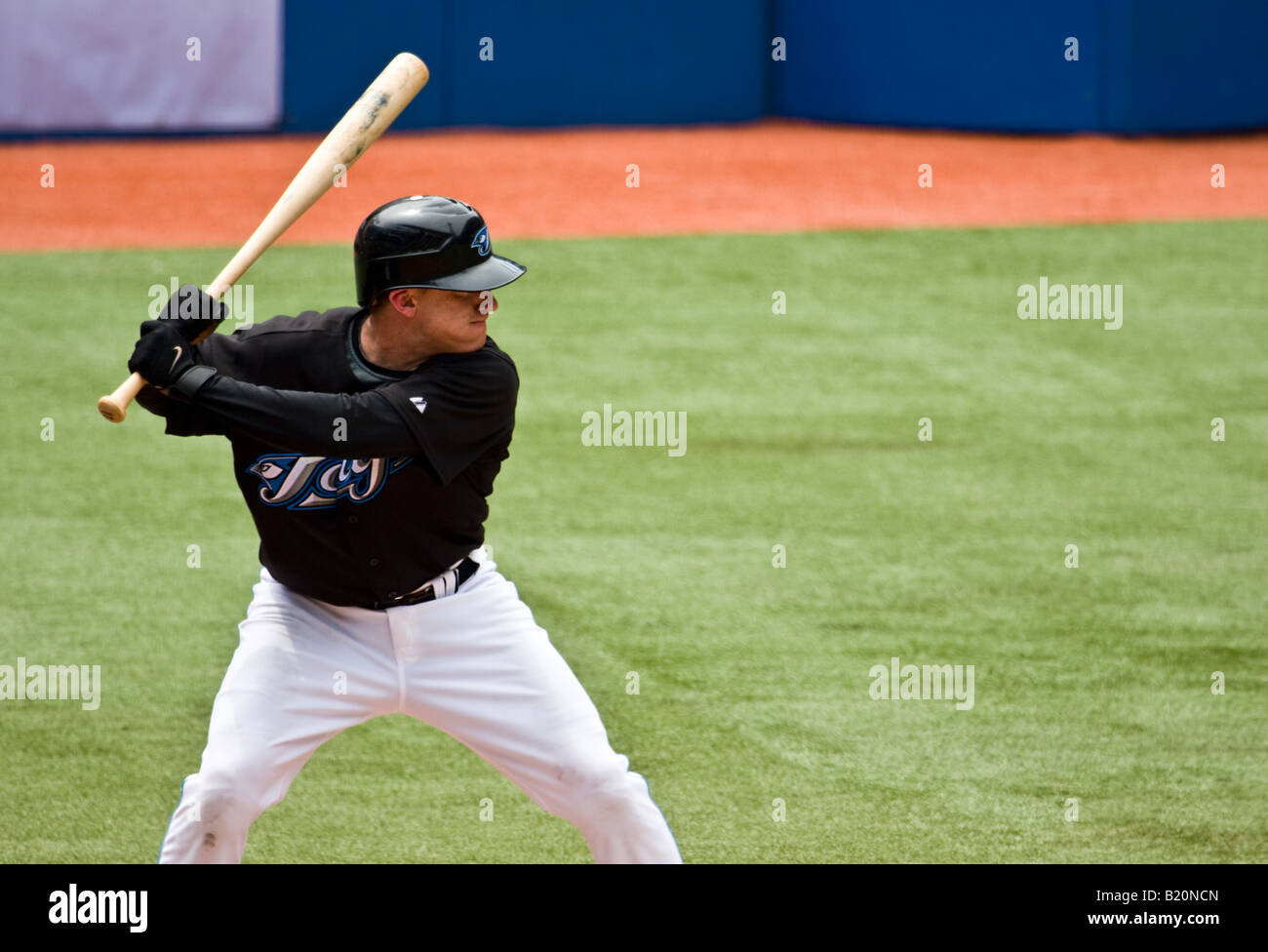 Blue jays ball batter hi-res stock photography and images - Alamy
