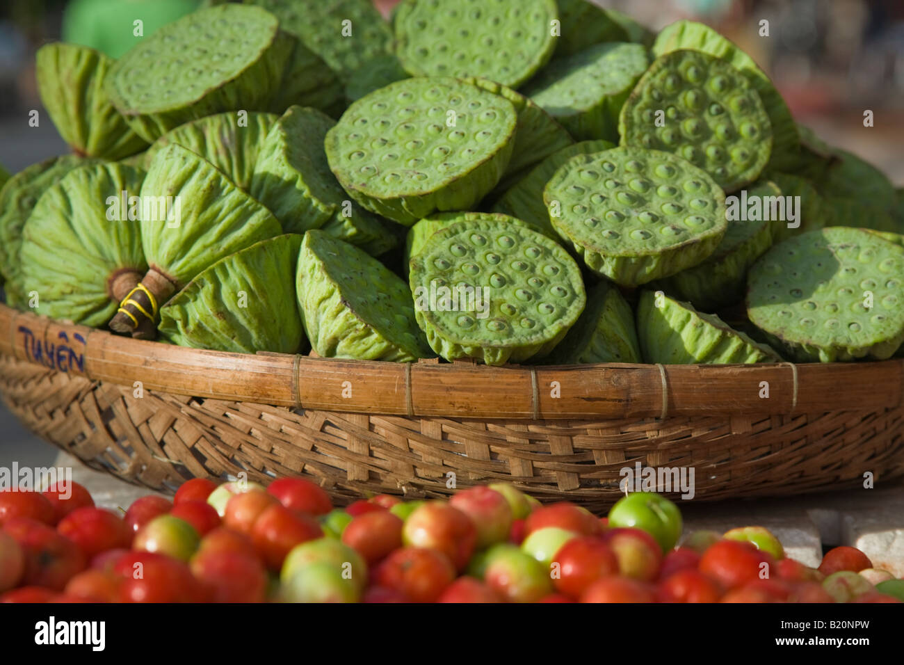 Lotuses root hi-res stock photography and images - Alamy