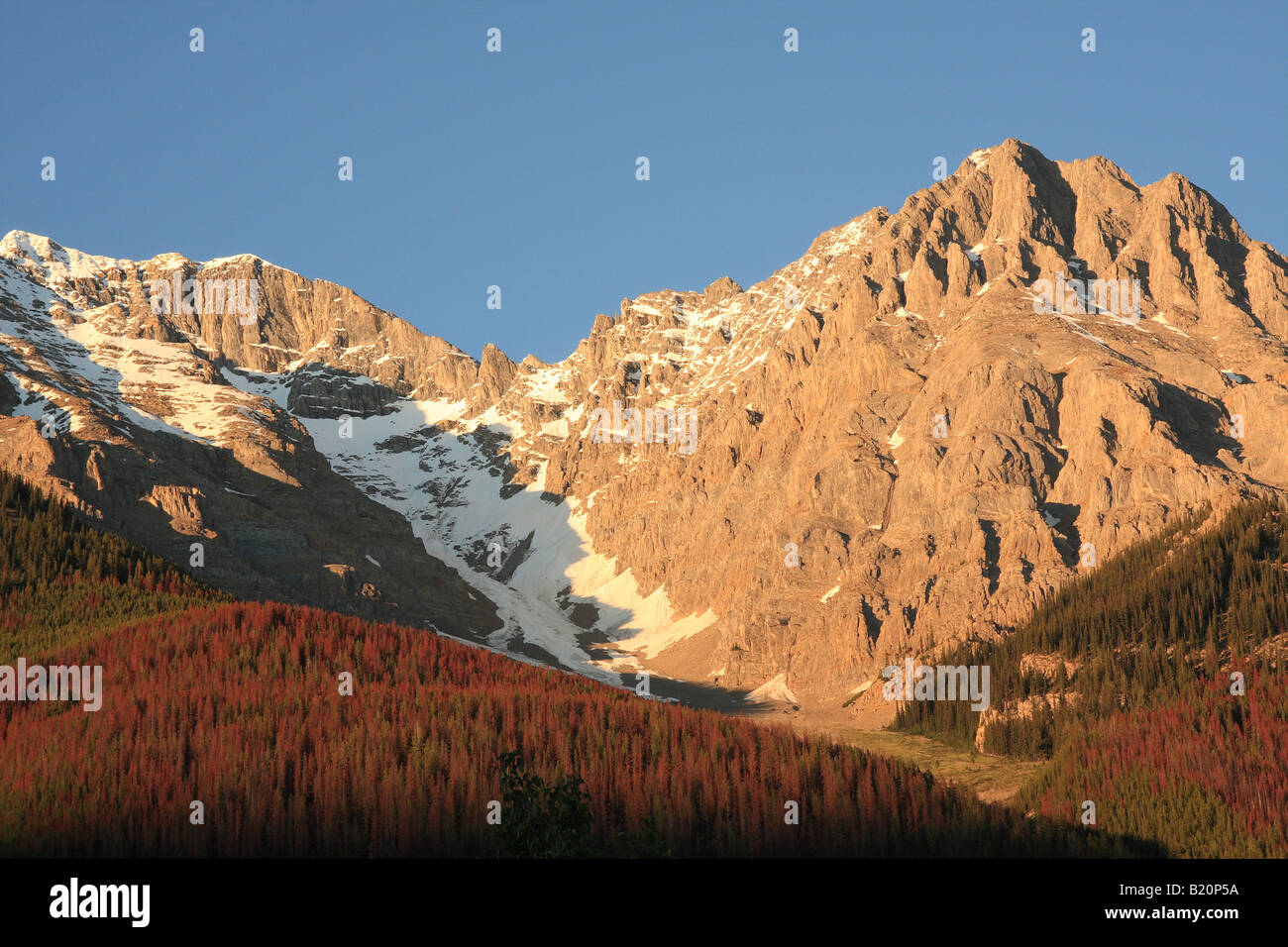Mountain peaks at sunset in British Columbia Stock Photo - Alamy