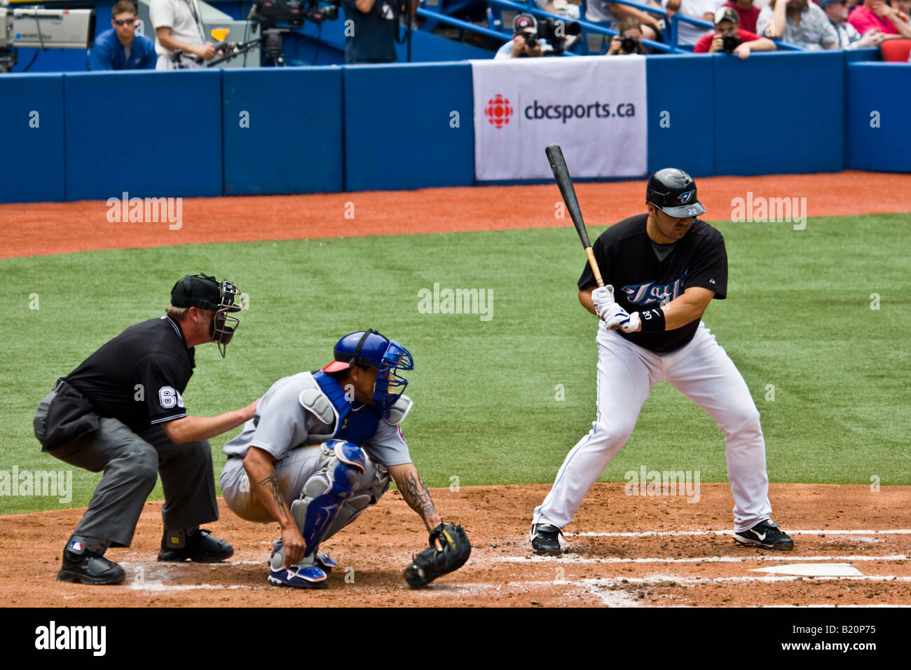 Blue jays batter hi-res stock photography and images - Alamy