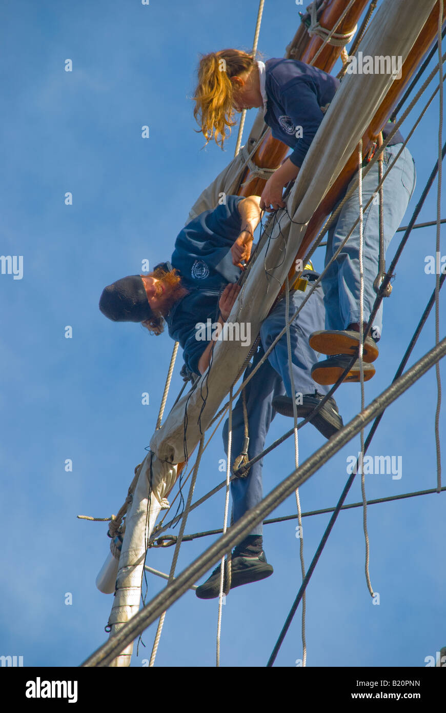 Crew of the tall ship Windeward Bound bending a new sail on to a ...