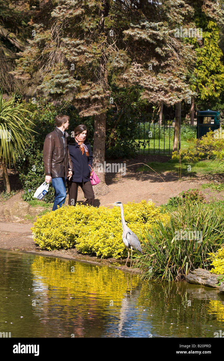 Walpole park ealing tree hi-res stock photography and images - Alamy