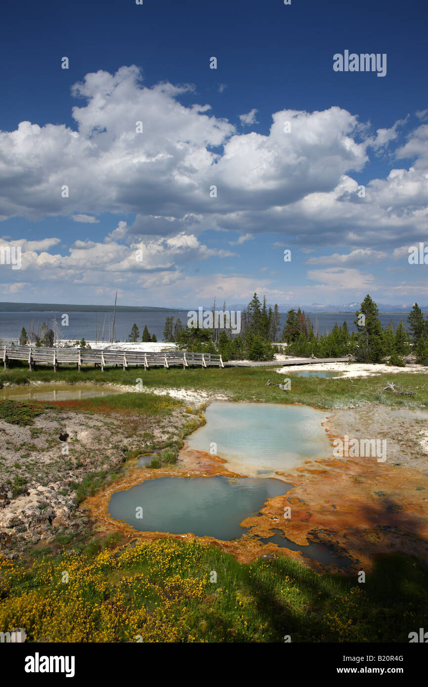 West thumb geyser yellowstone national park hi-res stock photography ...