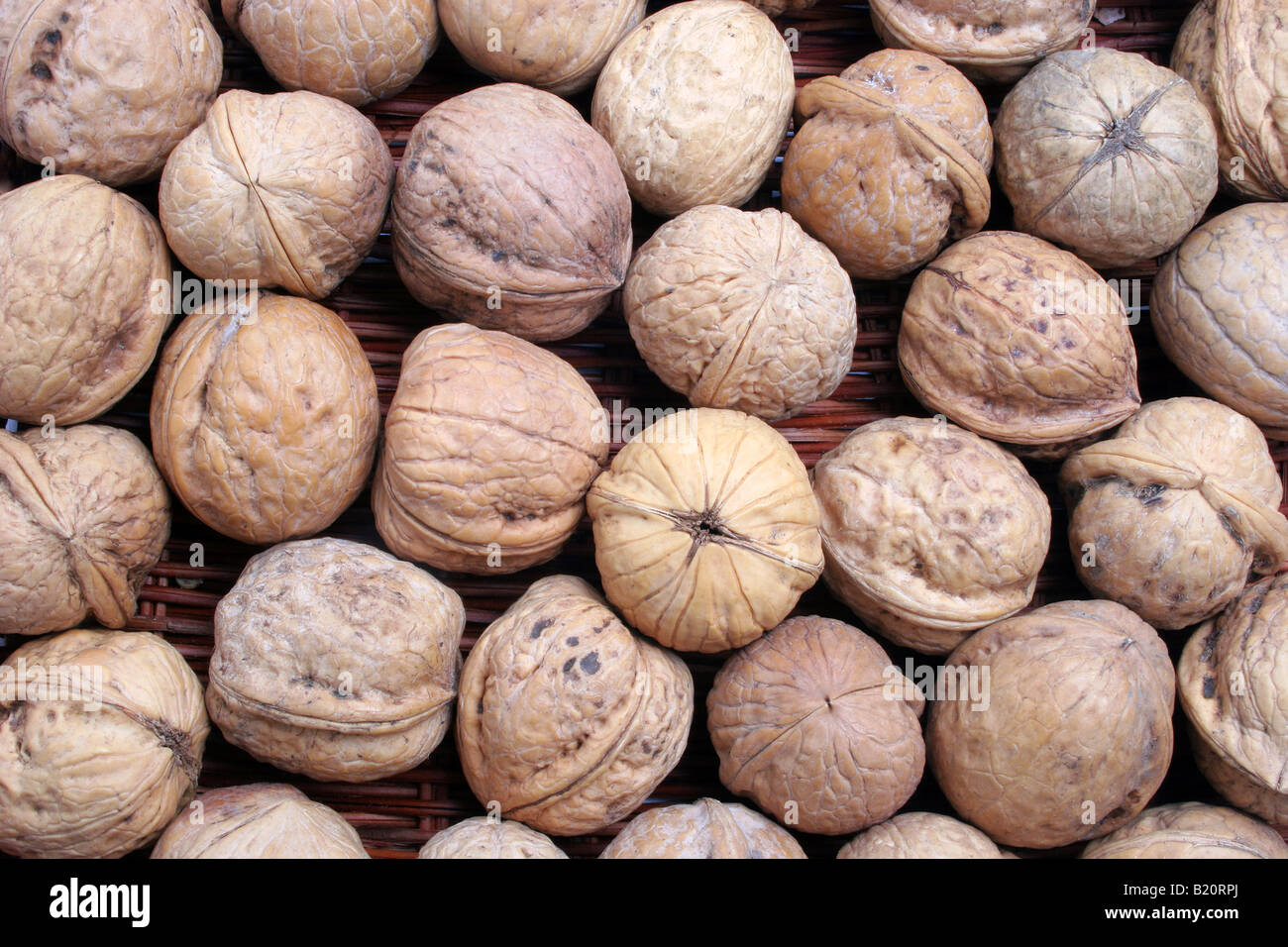 Closeup of Walnuts Stock Photo - Alamy