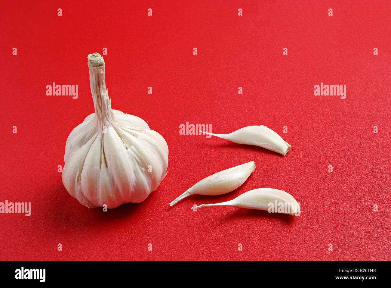 Closeup of Garlic (Allium sativum Stock Photo - Alamy
