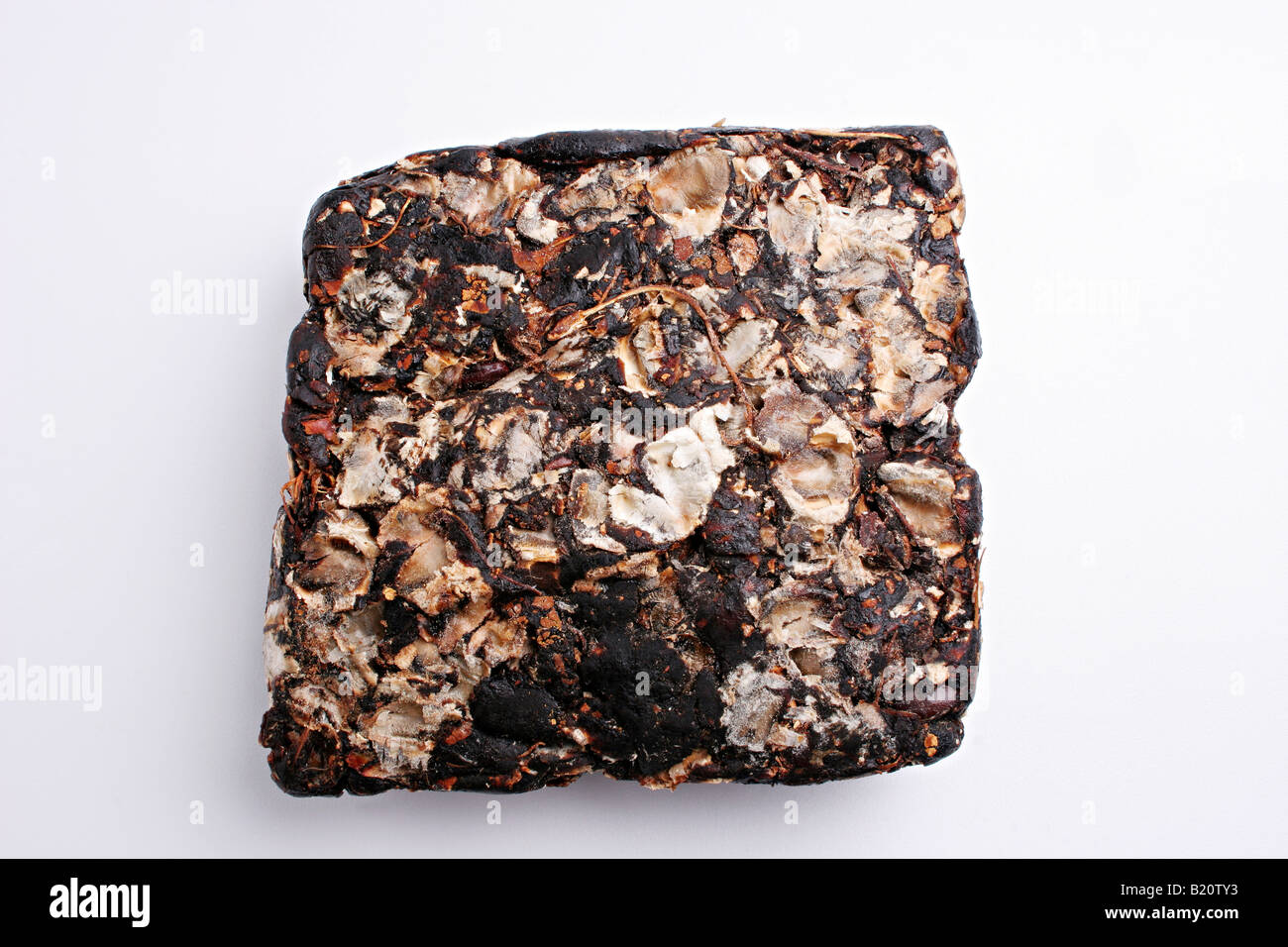 Closeup of edible Tamarind (Tamarindus indica Stock Photo - Alamy