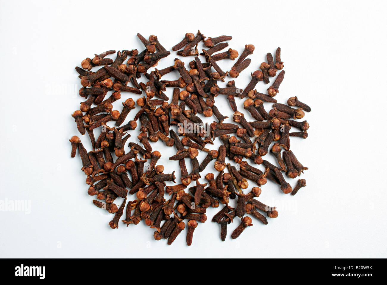 Clavus hi-res stock photography and images - Alamy