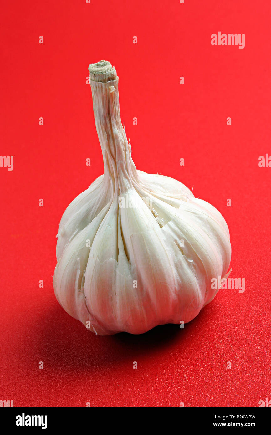 Lahsun hi-res stock photography and images - Alamy