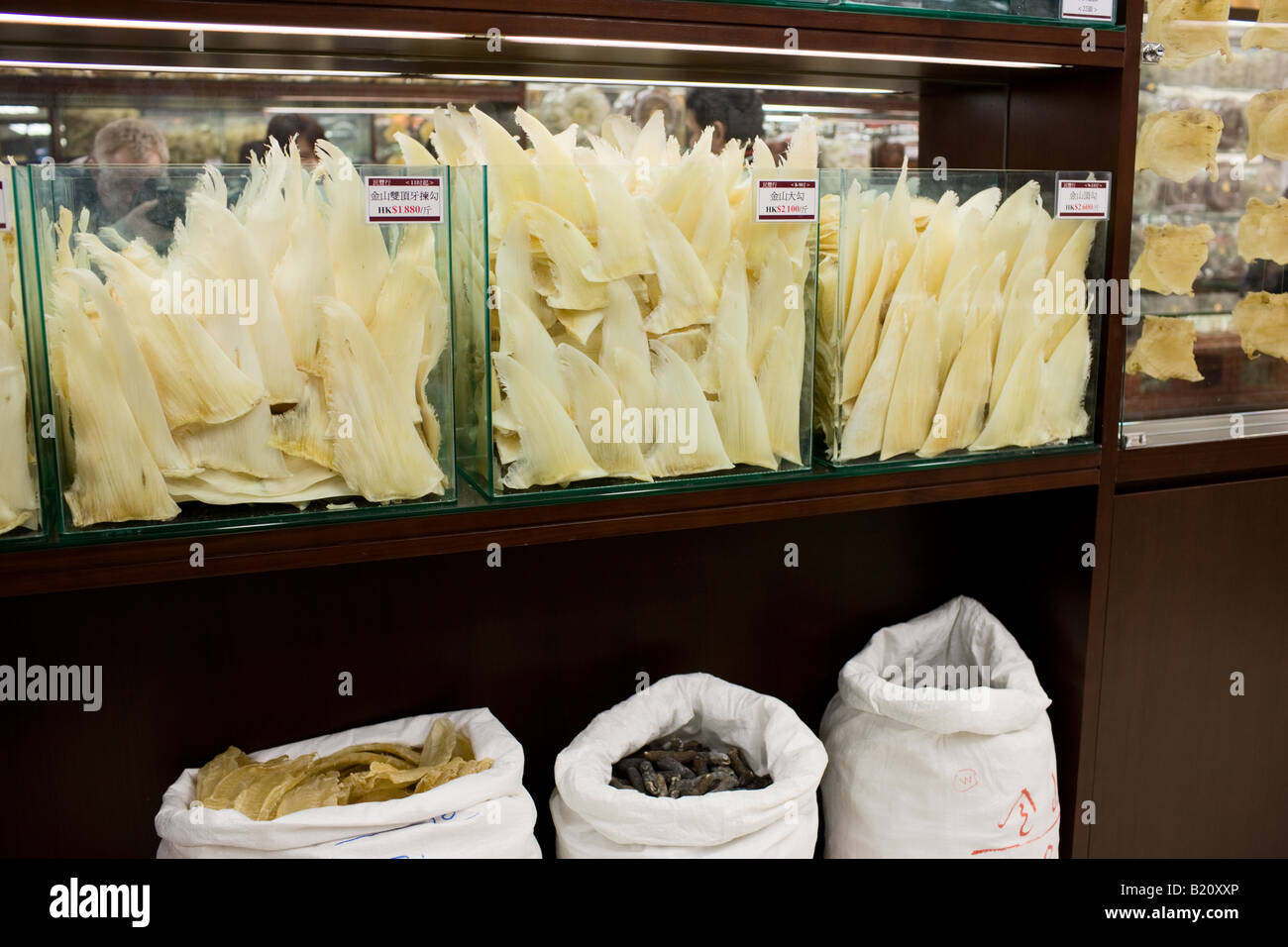 Sharks fins on sale in shop in Wing Lok Street Sheung Wan Hong Kong ...