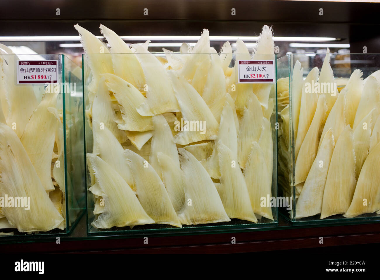 Shark fin china hi-res stock photography and images - Alamy