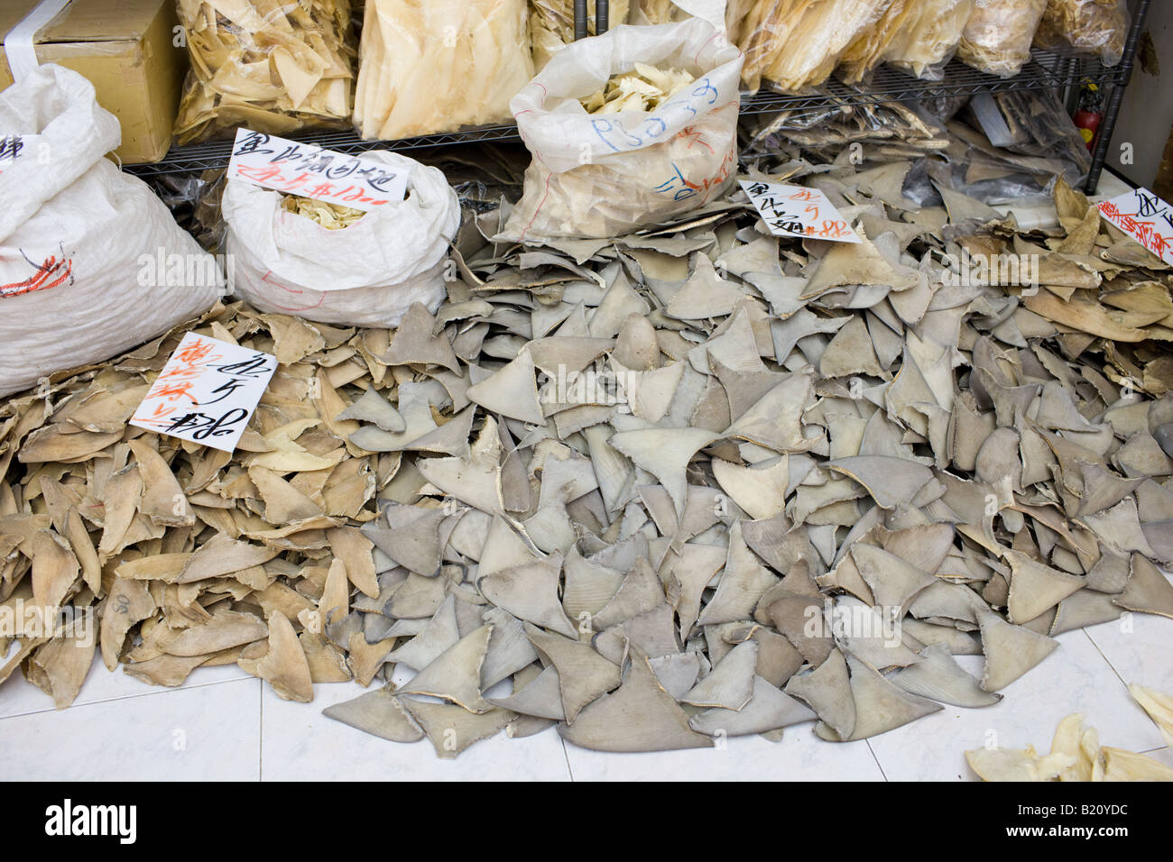 Shark fin china hi-res stock photography and images - Alamy