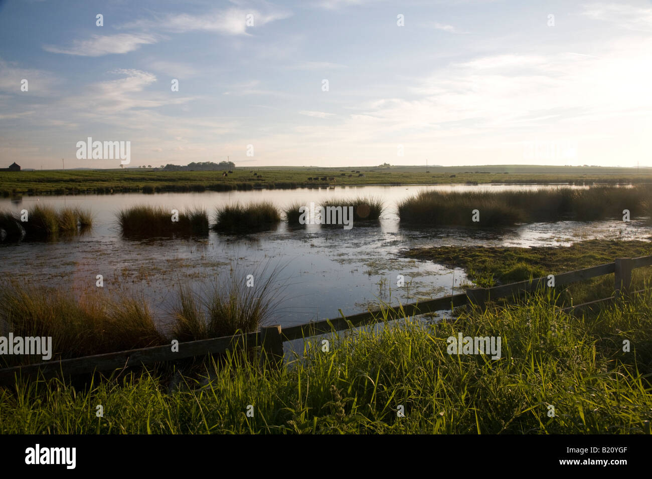 Coastal inlet in late evening, Northumberland Stock Photo - Alamy