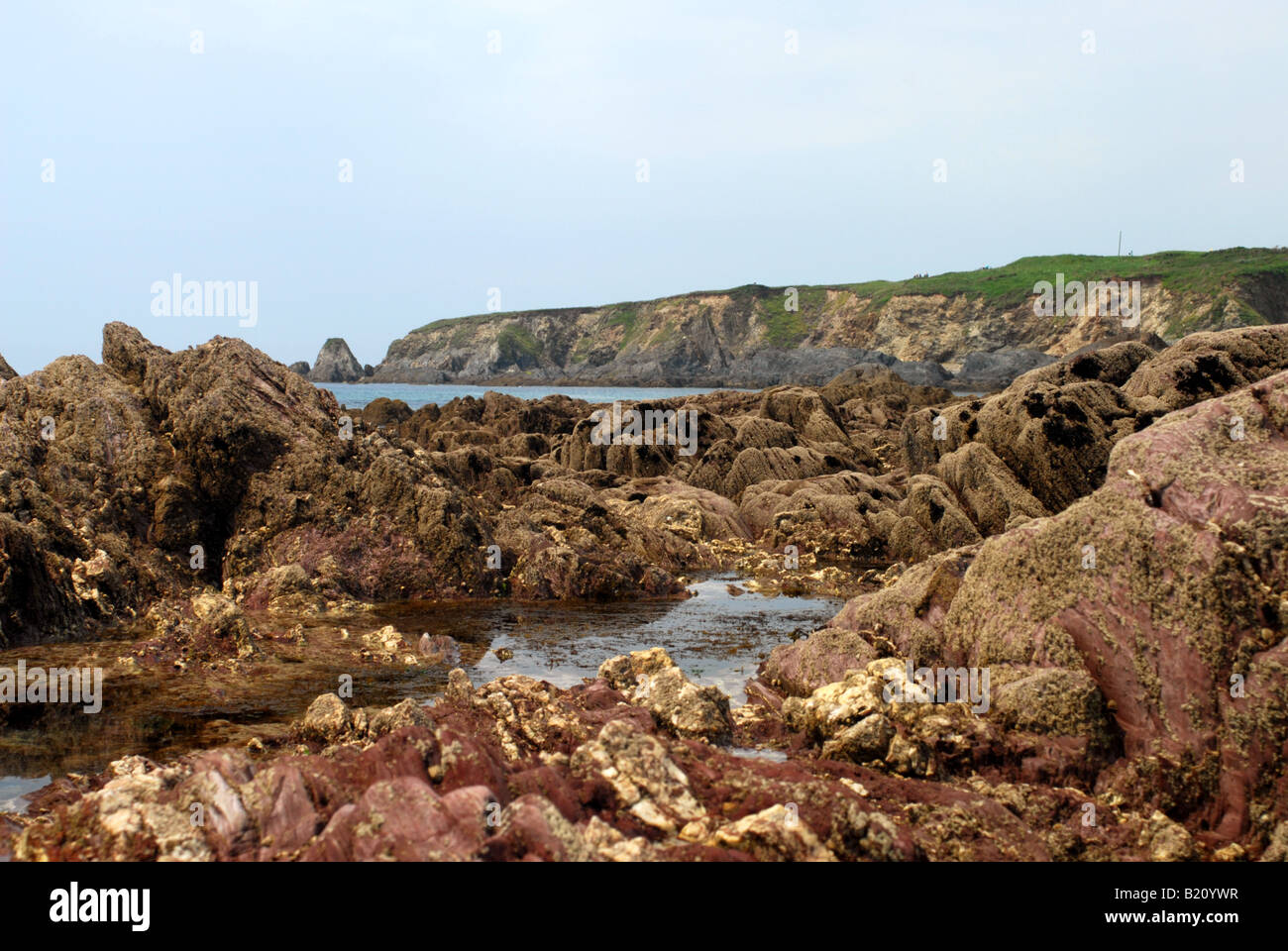 View across rock pools towards Warren Point near Thurlestone in South ...