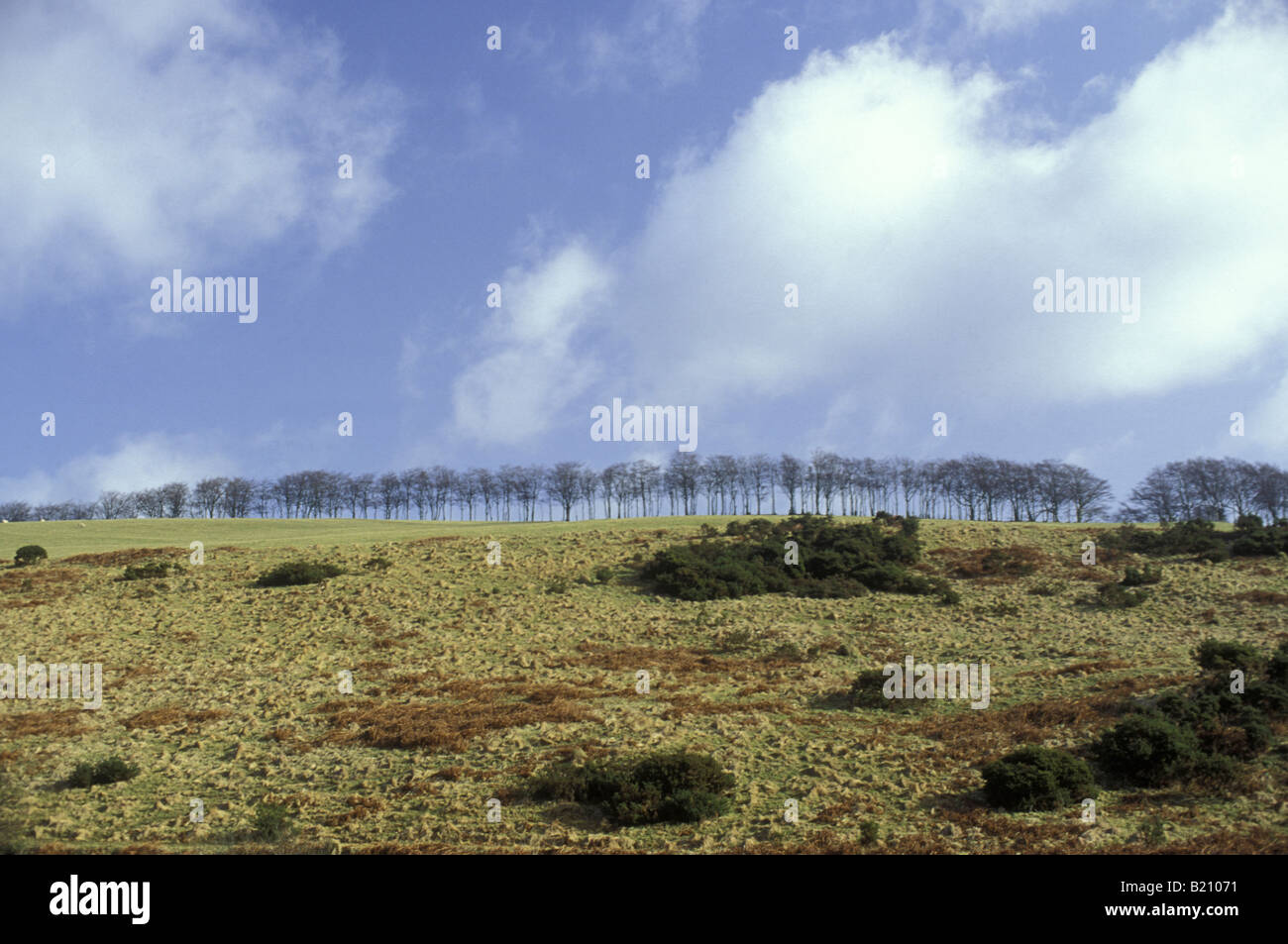 Exmoor landscape UK Stock Photo - Alamy