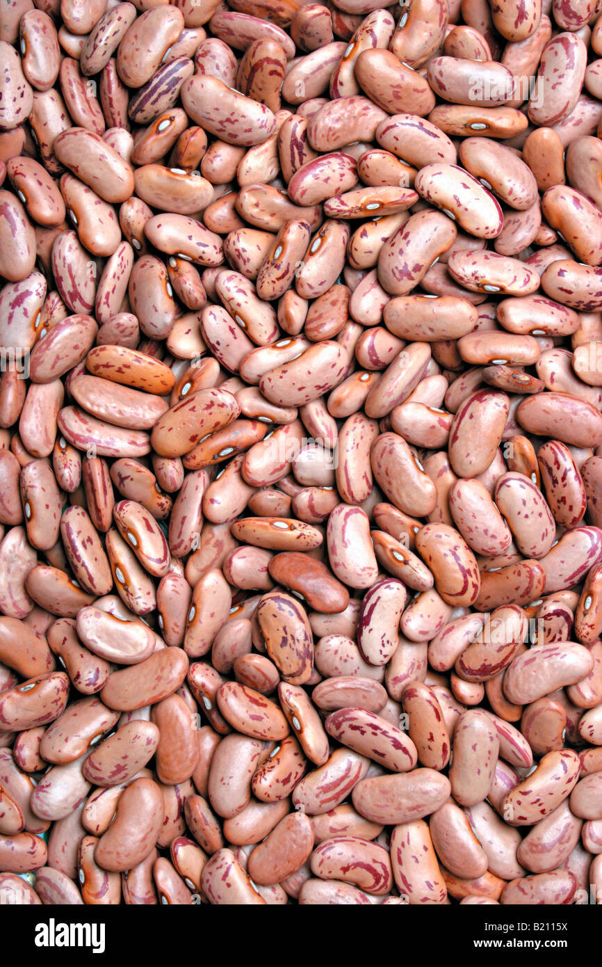 Piles of Kidney (Red) Beans (Rajama) seed Stock Photo - Alamy