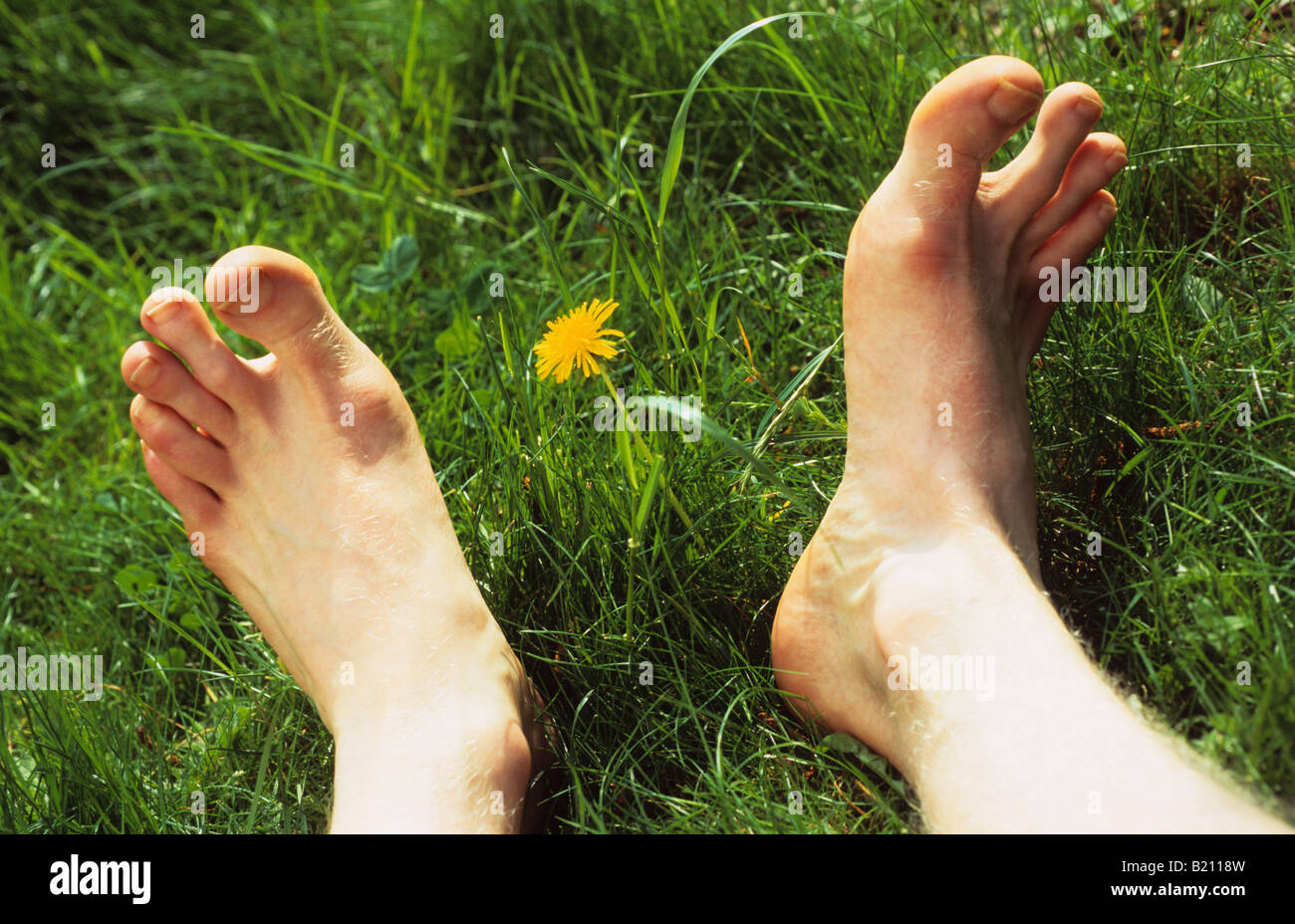 Grass grow under my feet hi-res stock photography and images - Alamy