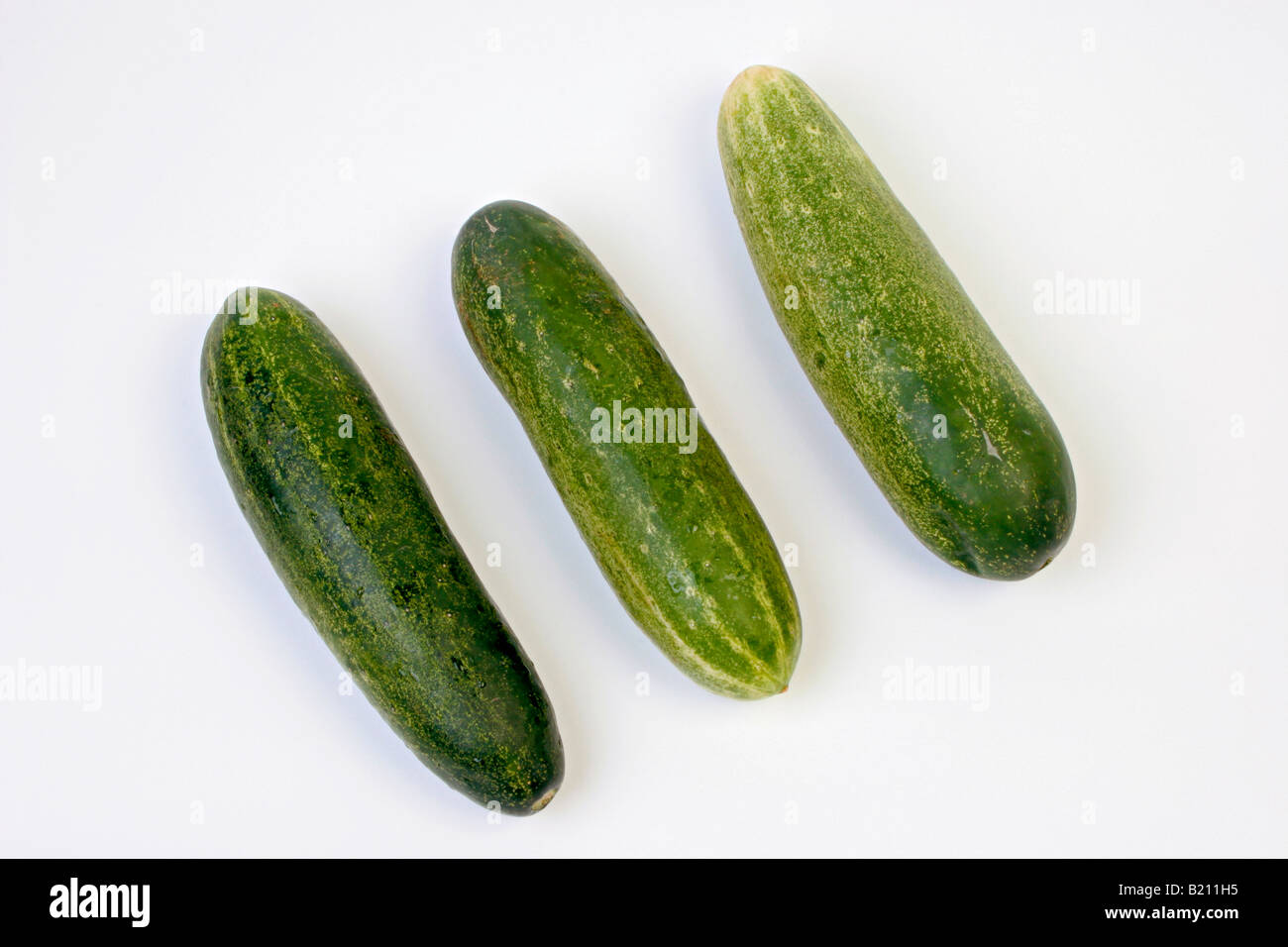 Close-up of Cucumber Stock Photo - Alamy