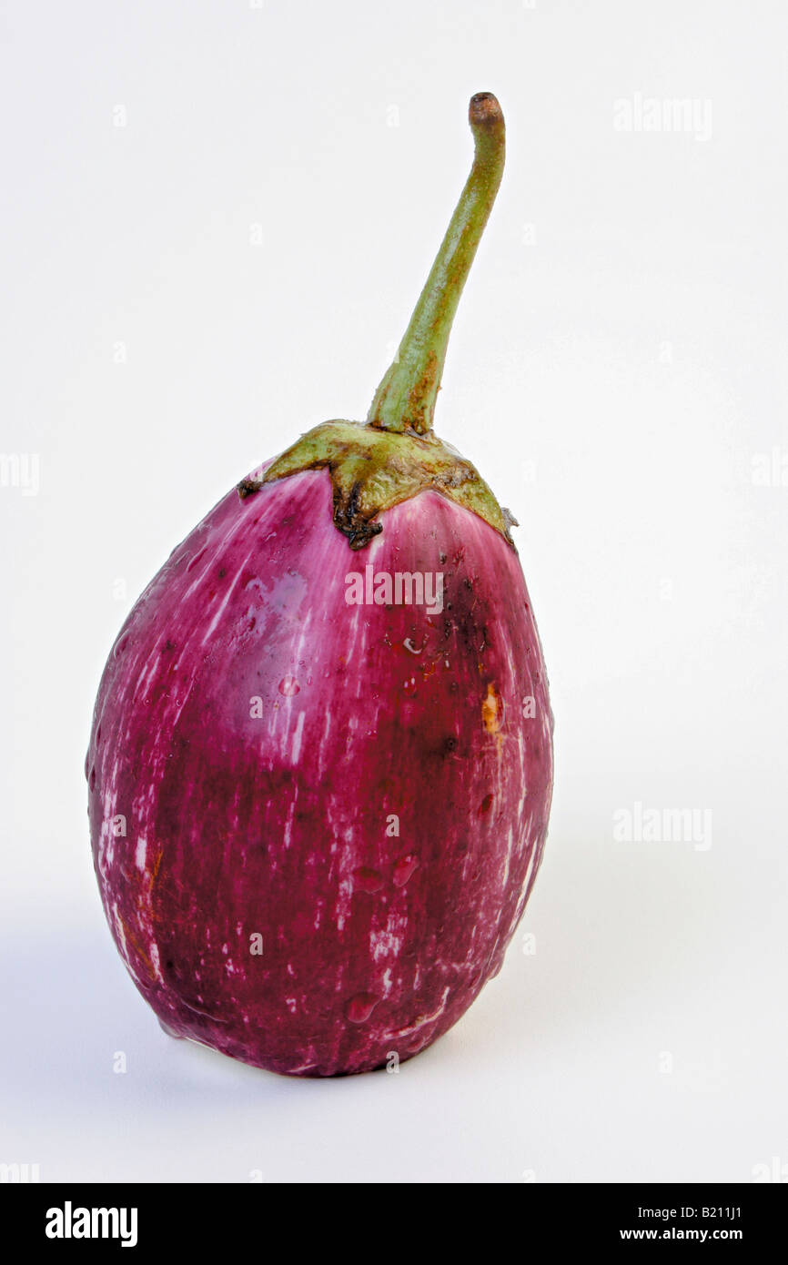 Brinjal hi-res stock photography and images - Alamy