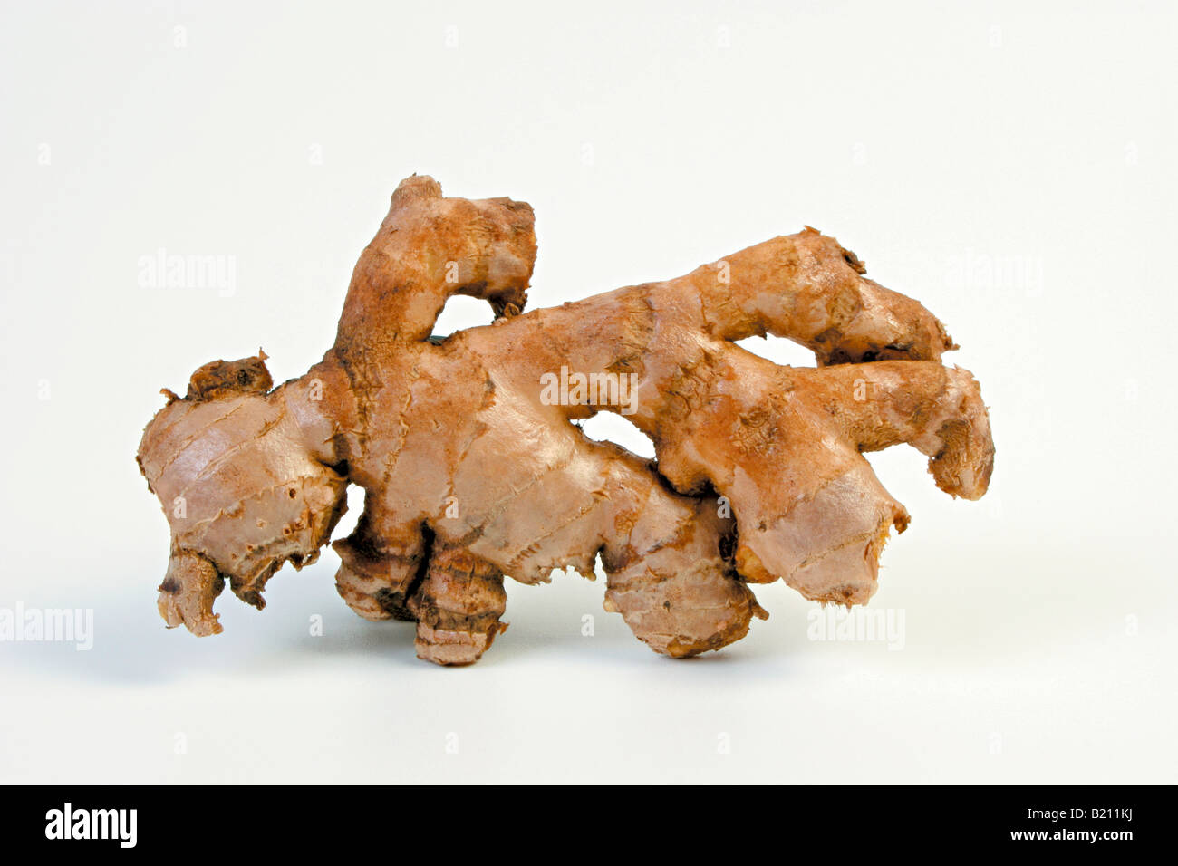 Root items hi-res stock photography and images - Alamy