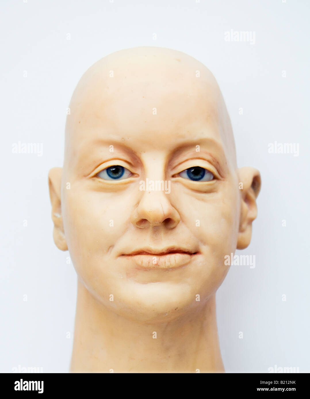Wax head cut out Stock Photo - Alamy