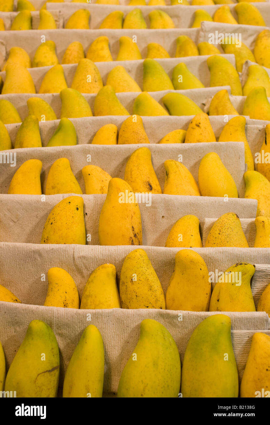 Fresh mango fruits on display in supermarket Chongqing China Stock ...