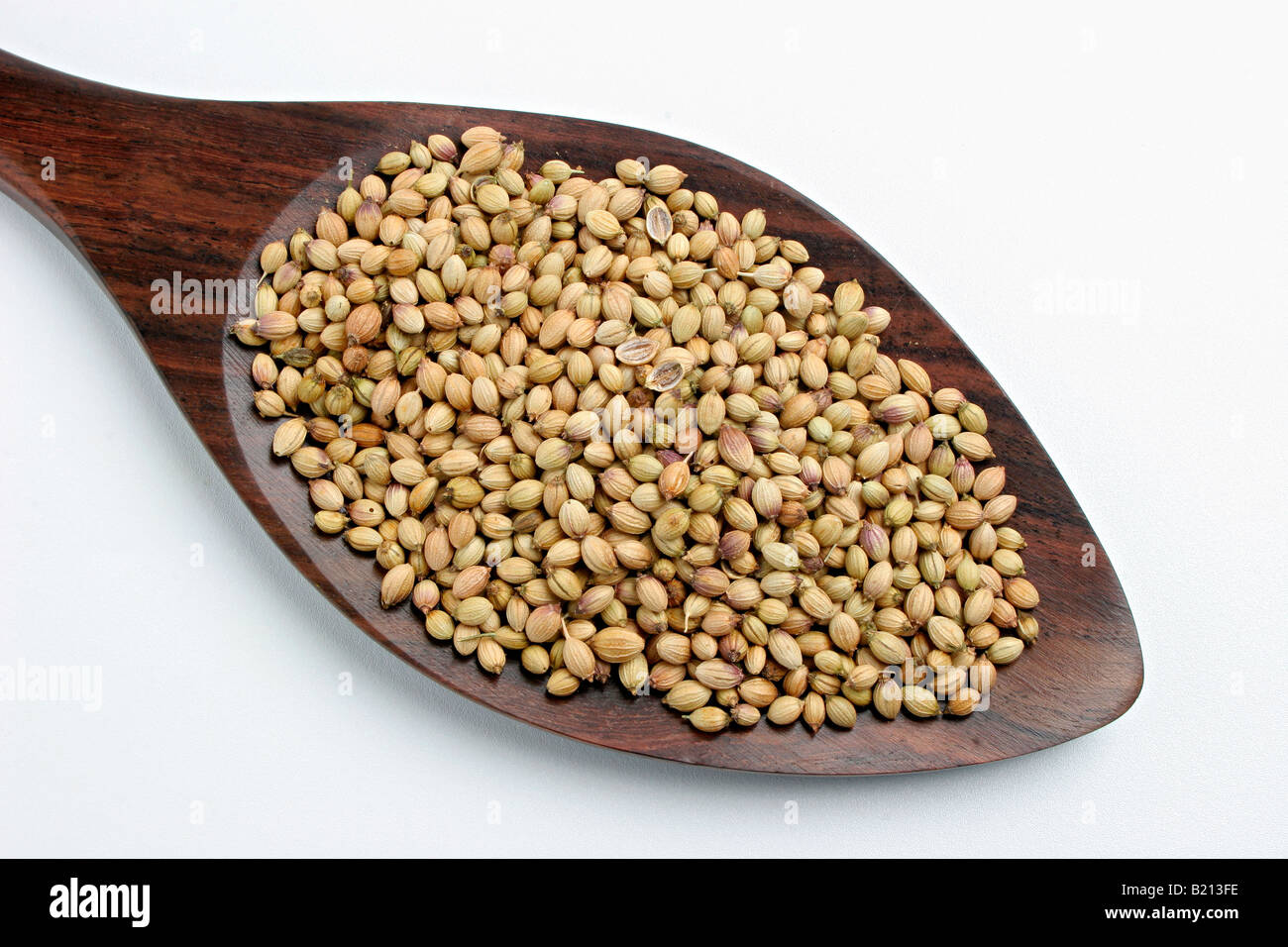 Dhania hi-res stock photography and images - Alamy