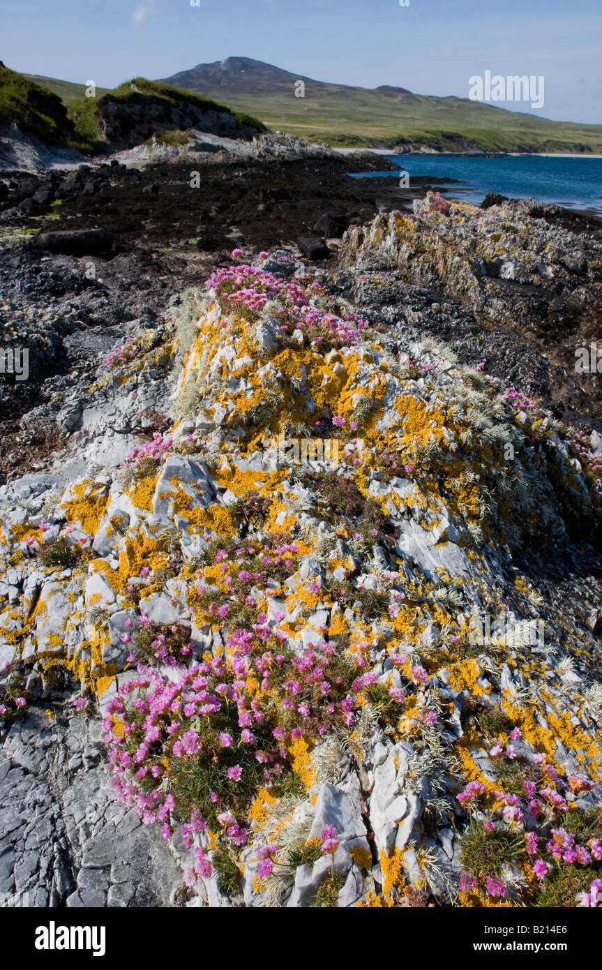 Breac hi-res stock photography and images - Alamy