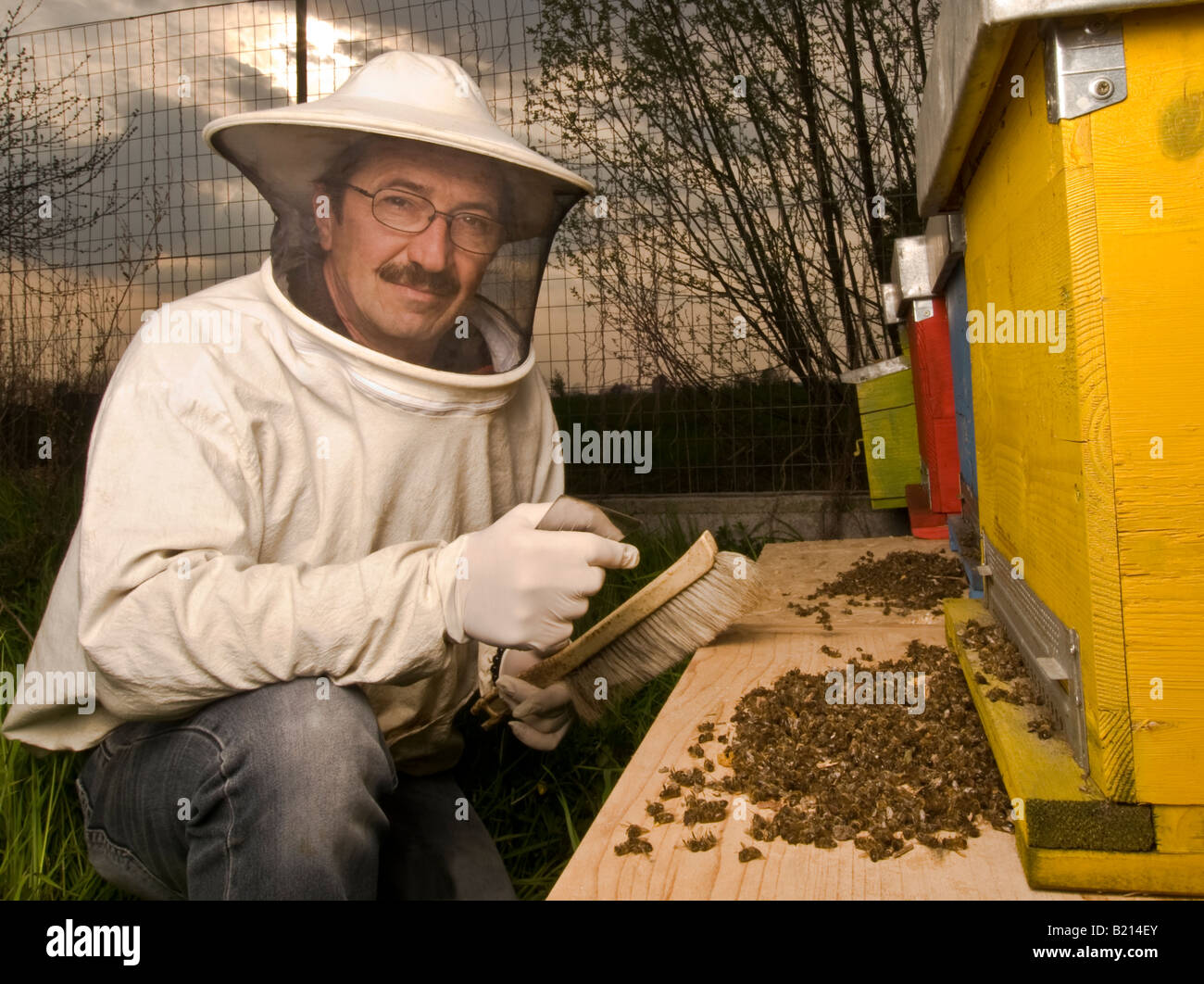 A beekeeper with bees death Stock Photo - Alamy