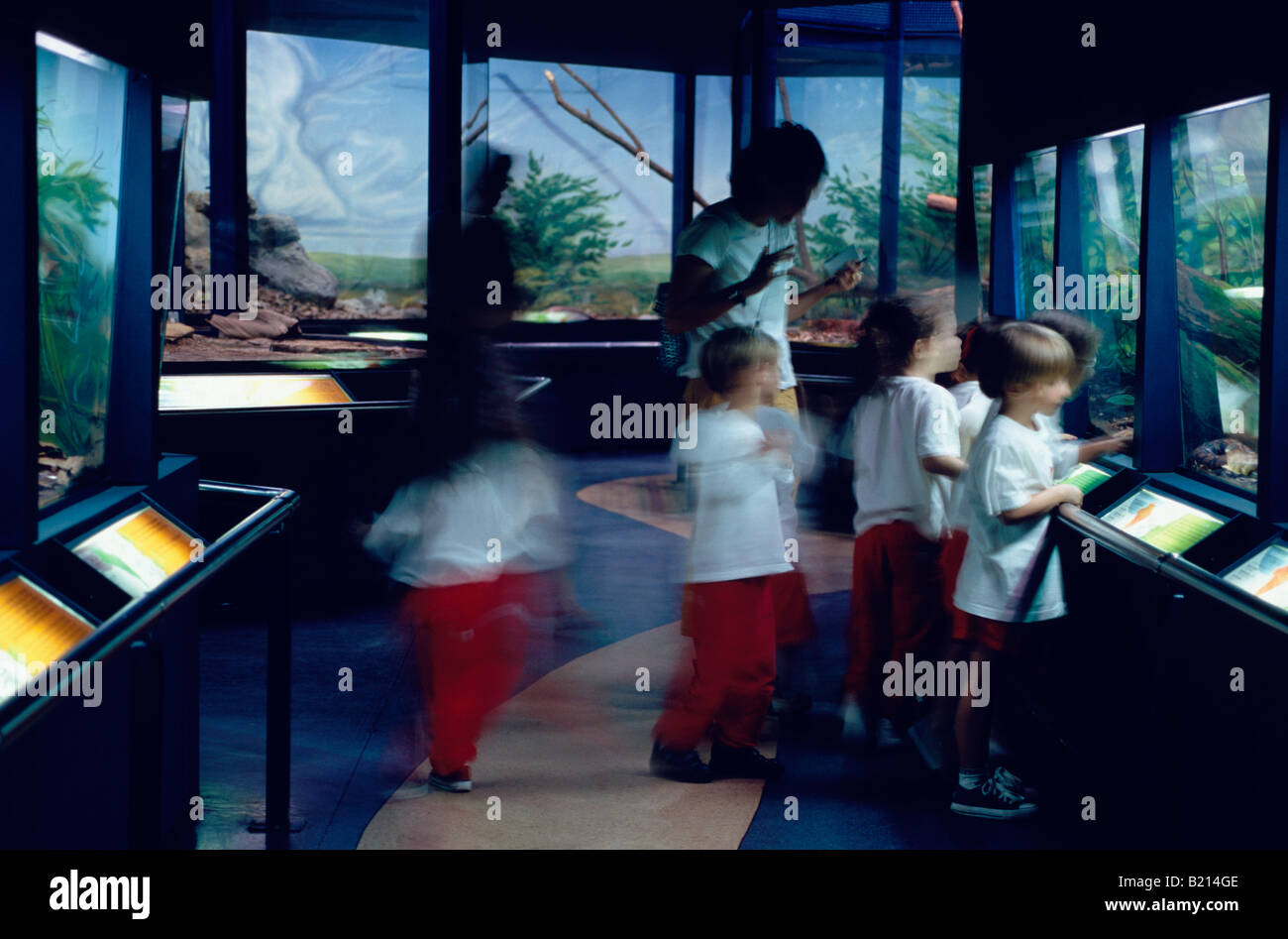 Instituto Butanta Museum Sao Paulo Brazil Stock Photo - Alamy