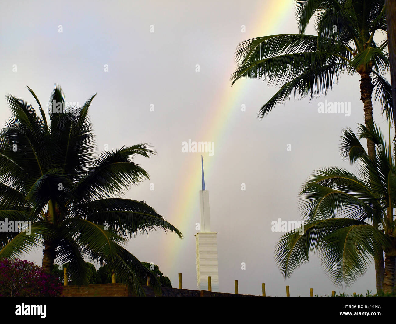 Rainbow and palm trees hi-res stock photography and images - Alamy