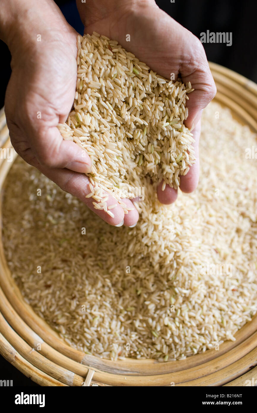 Hands rice hi-res stock photography and images - Alamy