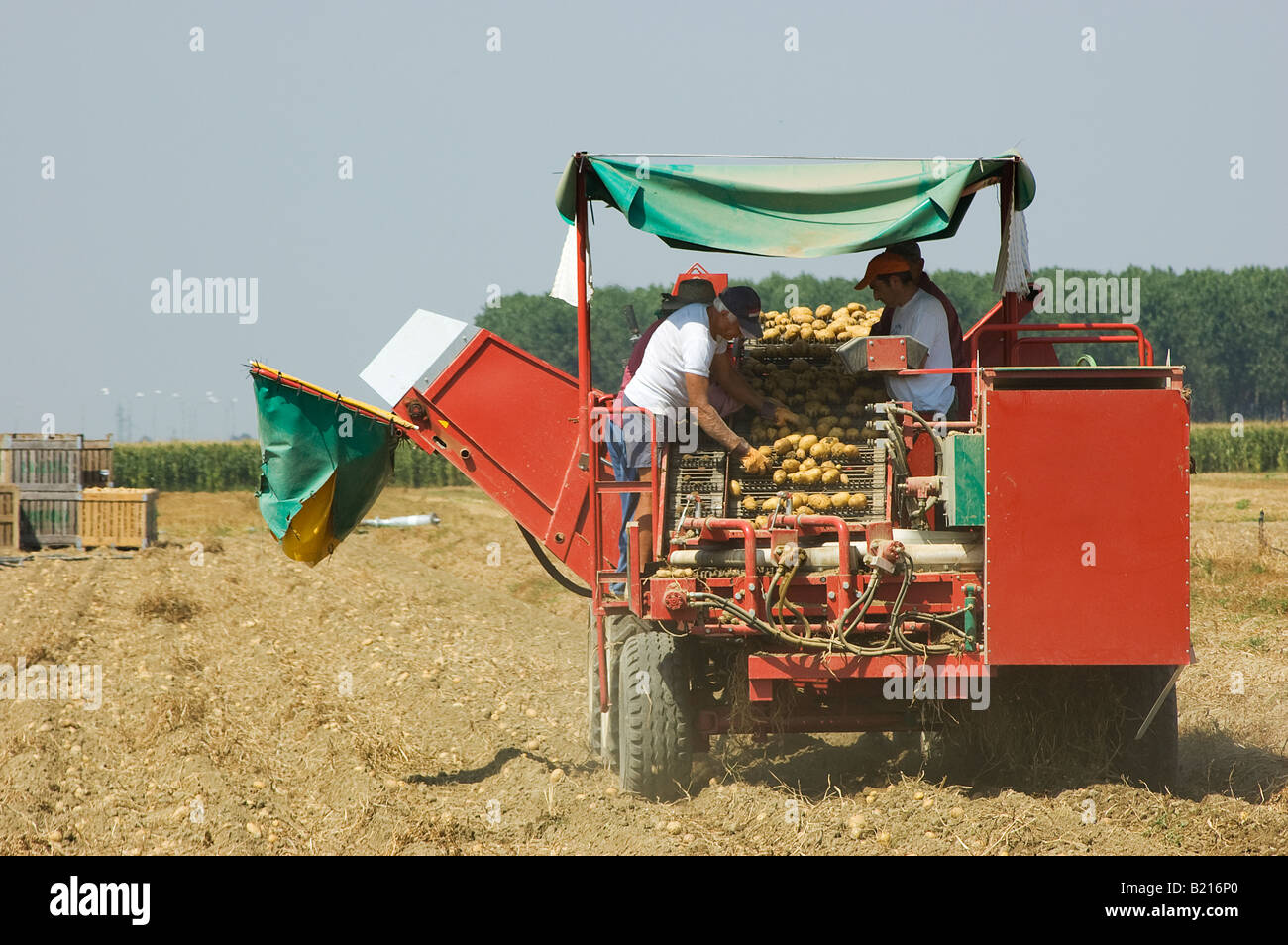 Potato picker hi-res stock photography and images - Alamy