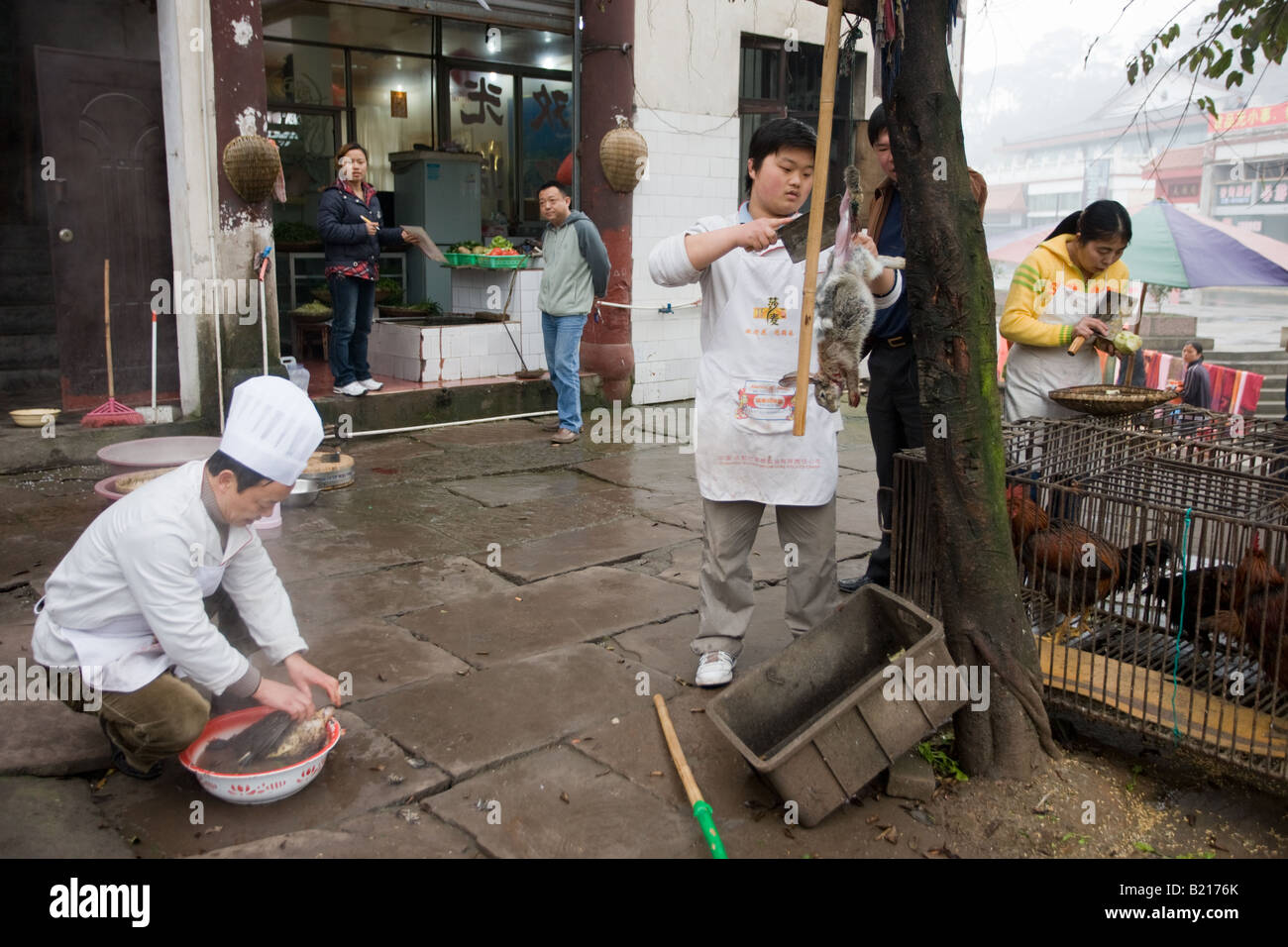 Chinese chefs skin rabbit and pluck chicken to cook for restaurant ...