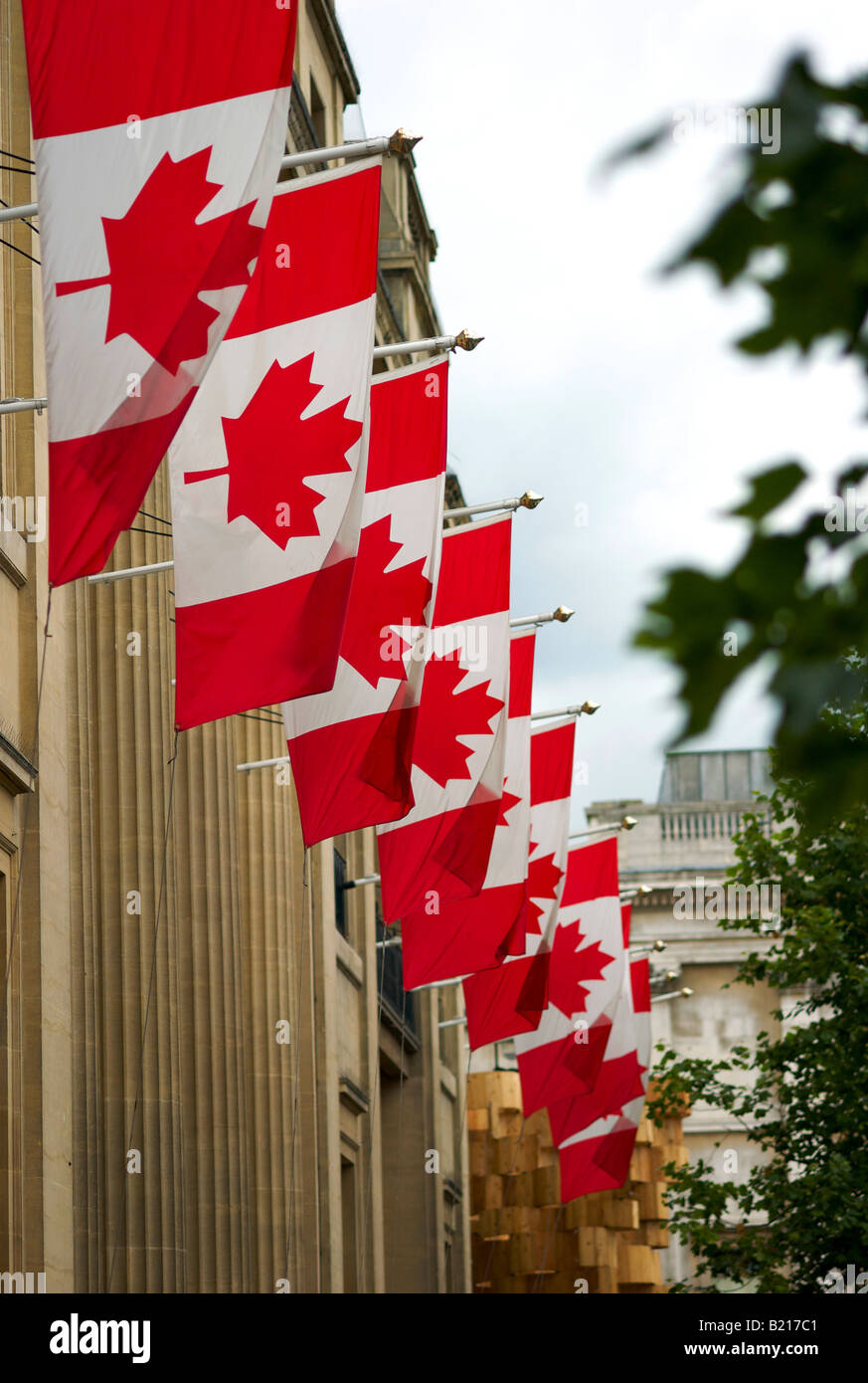 Row of Canadian national flags the Maple Leaf hanging outside Canada ...