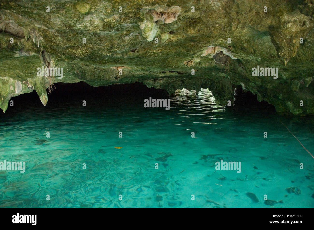 Grand cenote hi-res stock photography and images - Alamy