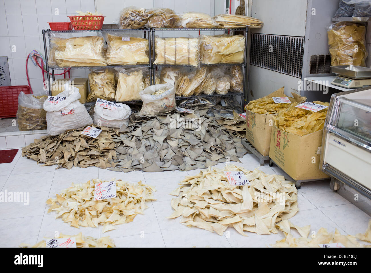 Shark fins on sale in shop in Wing Lok Street Sheung Wan Hong Kong ...