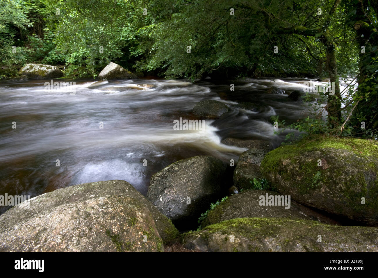 The River Dart at Pixie's Holt, Dartmoor Stock Photo - Alamy