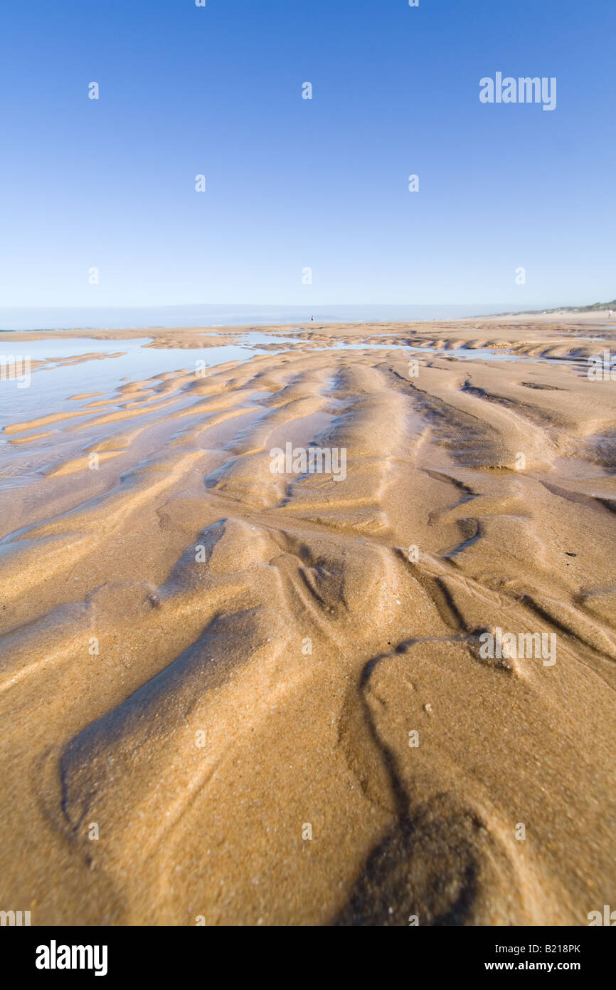 sand ripples in a beach in summer Stock Photo - Alamy